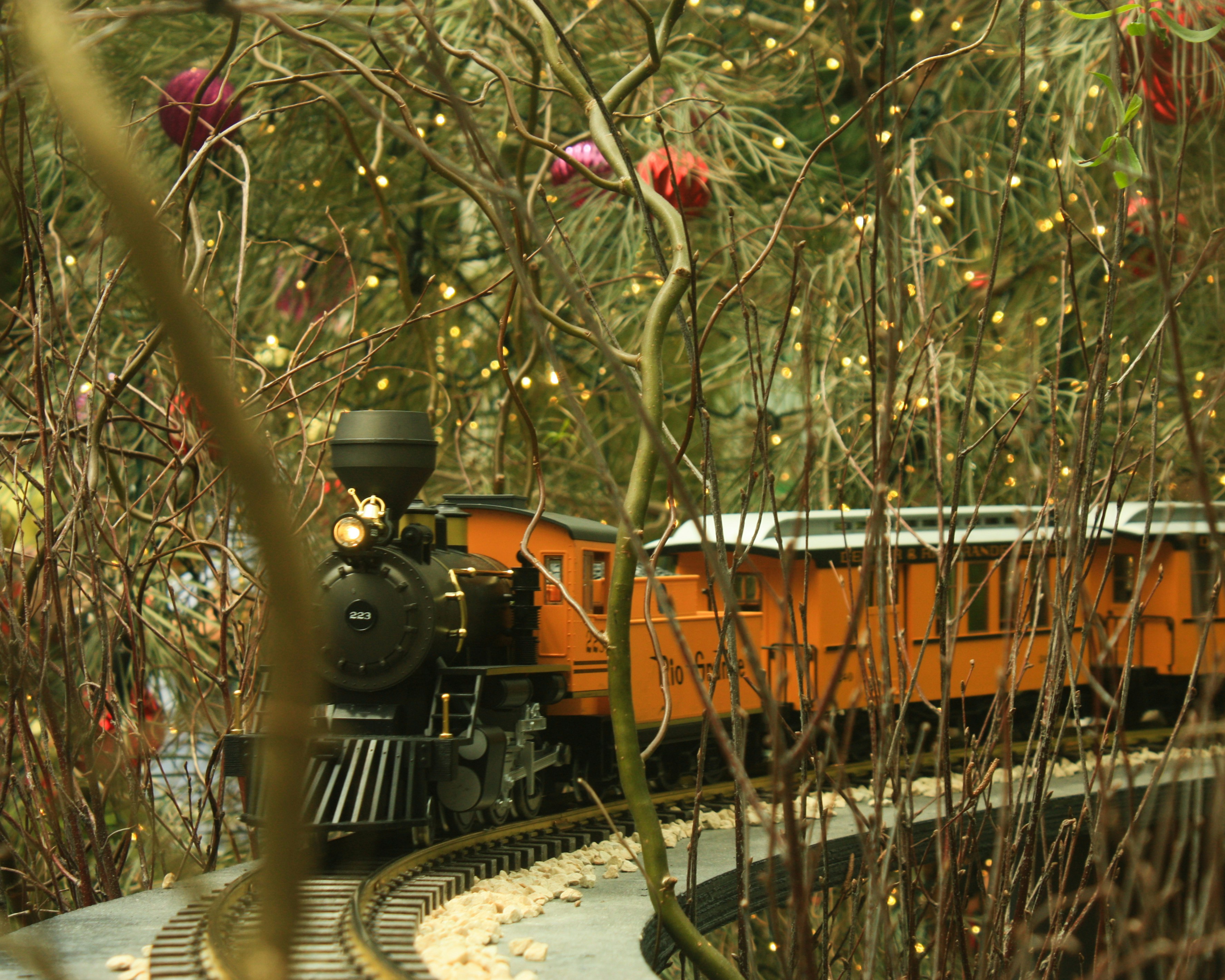 Garden-Scale Steam: A Model Locomotive Loops Through Branches