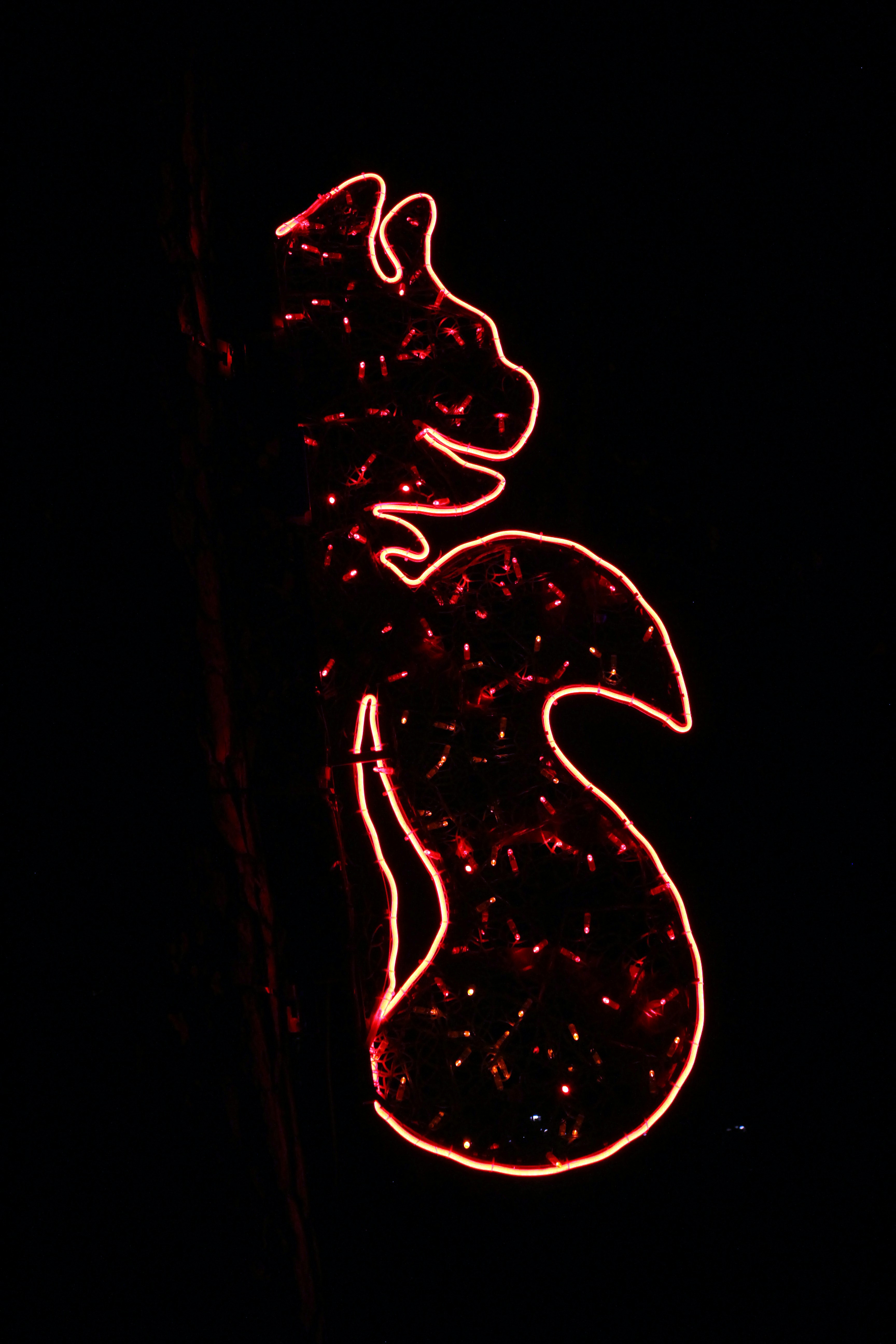 Neon Dragon: A Red Silk Outline Adrift in Darkness