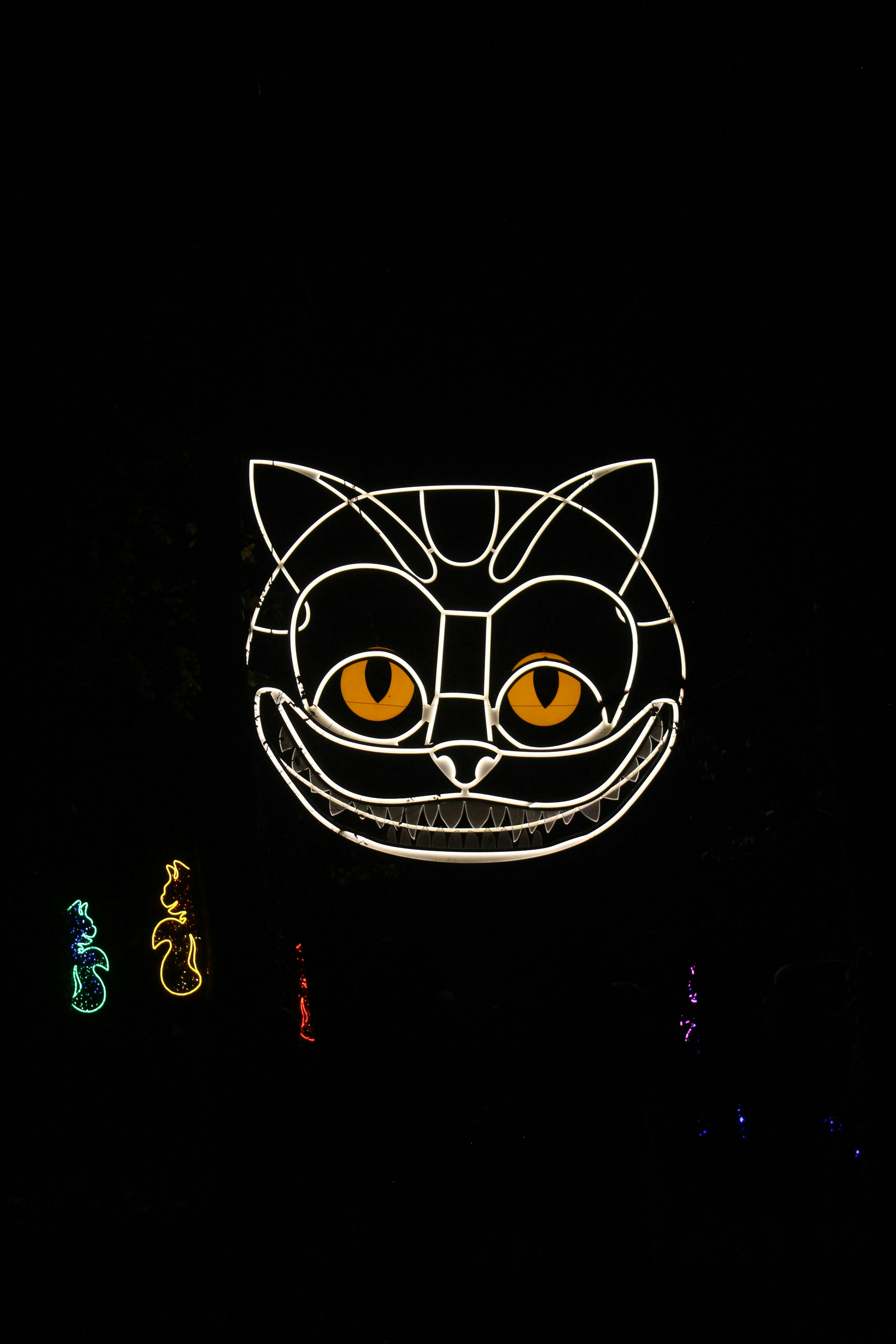 Midnight Neon Cat: A Luminous Feline Over Quiet Rainbow Filaments