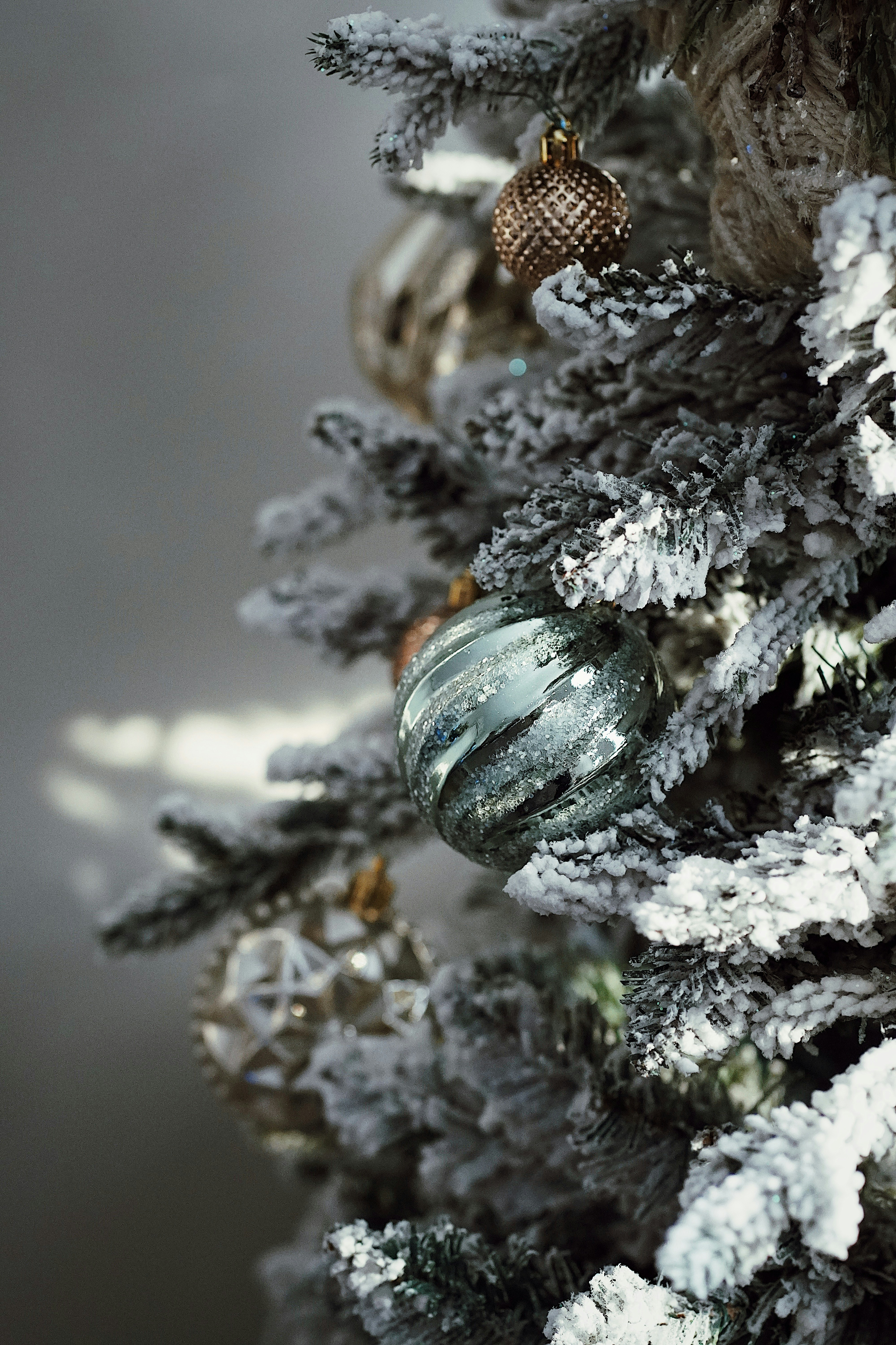 Frosted Teal Bauble: A Quiet Moment on a Snow-Kissed Christmas Tree