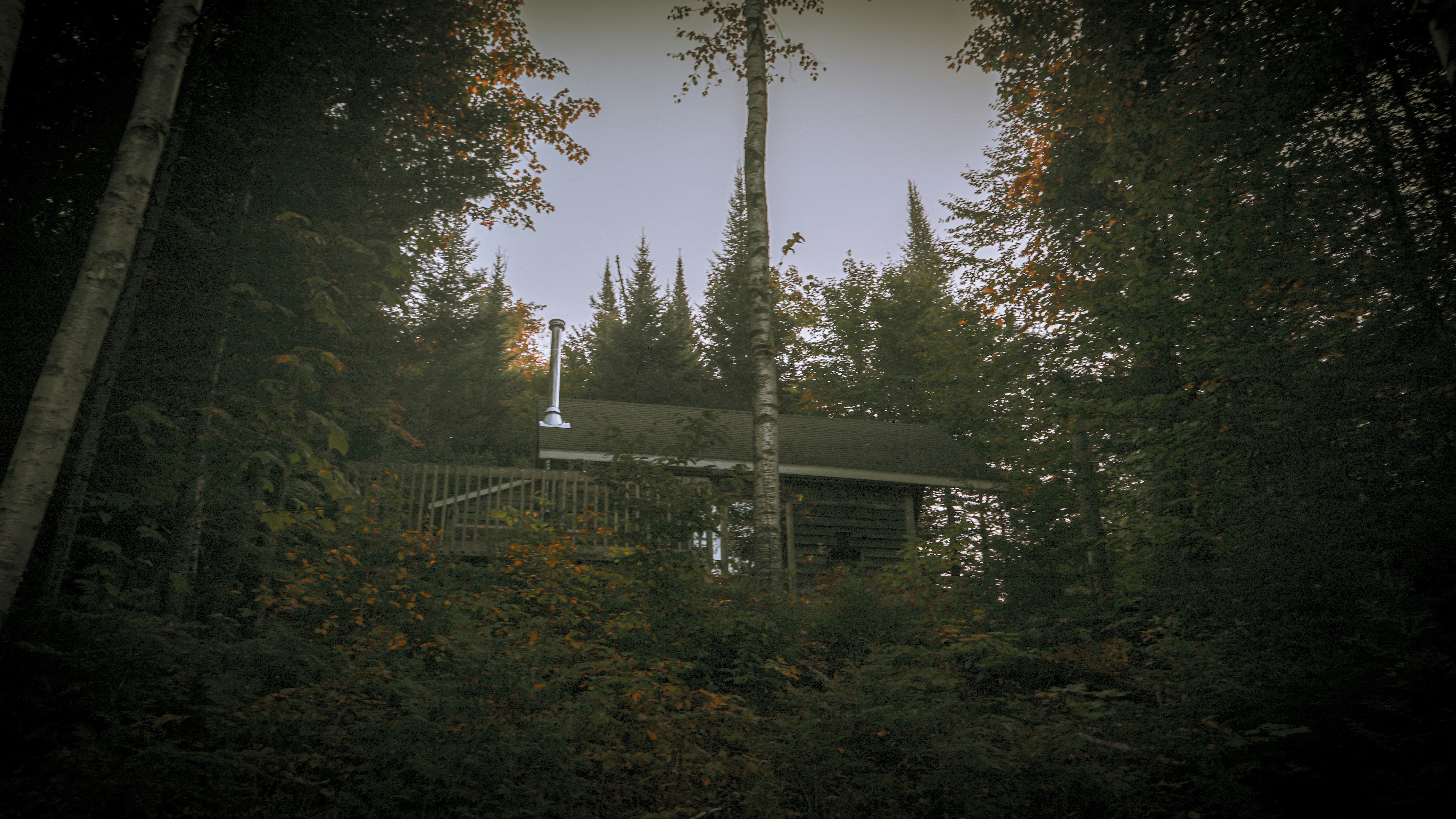 Secluded Cabin Amidst Autumn Foliage