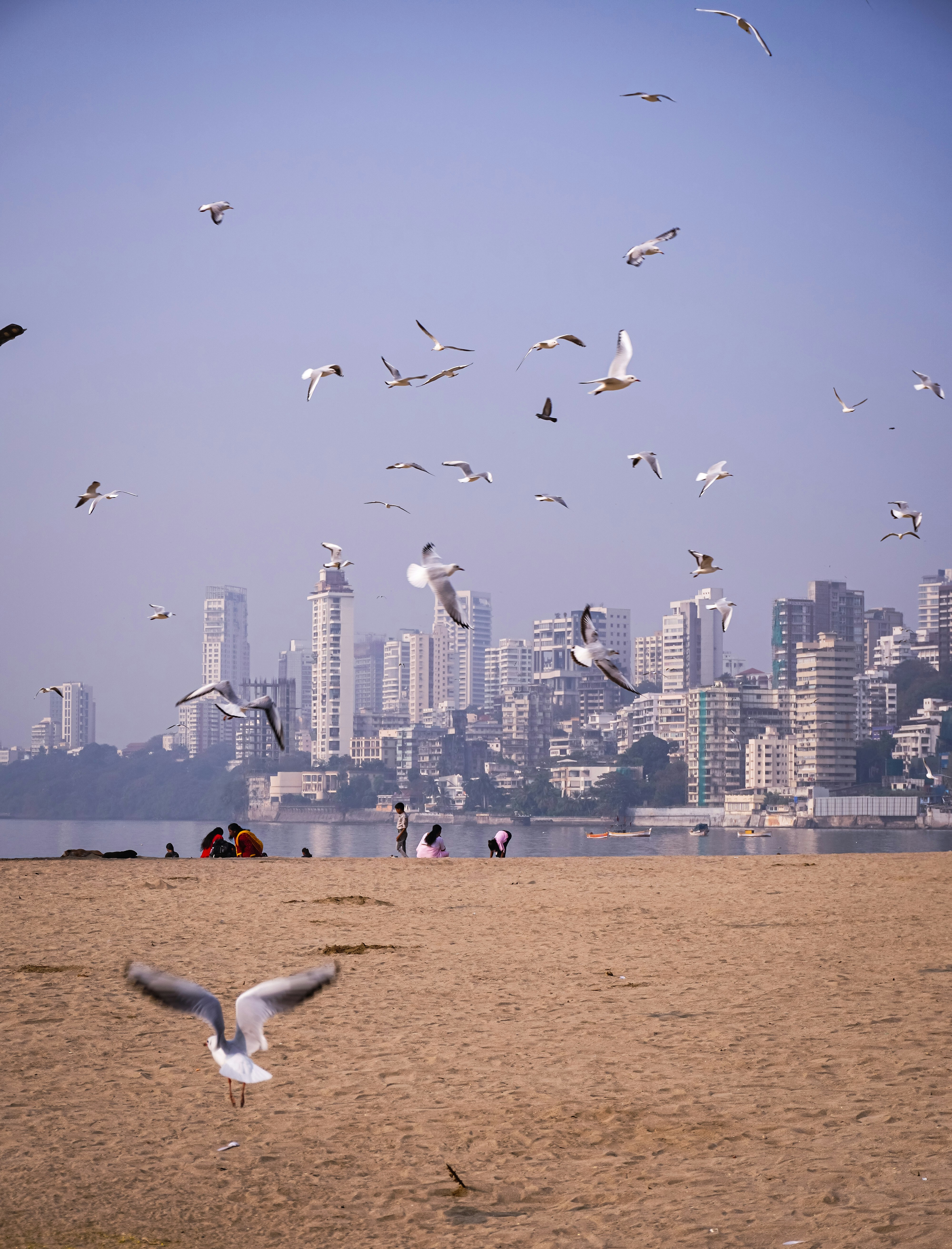 Sea, Seagull, Mumbai.