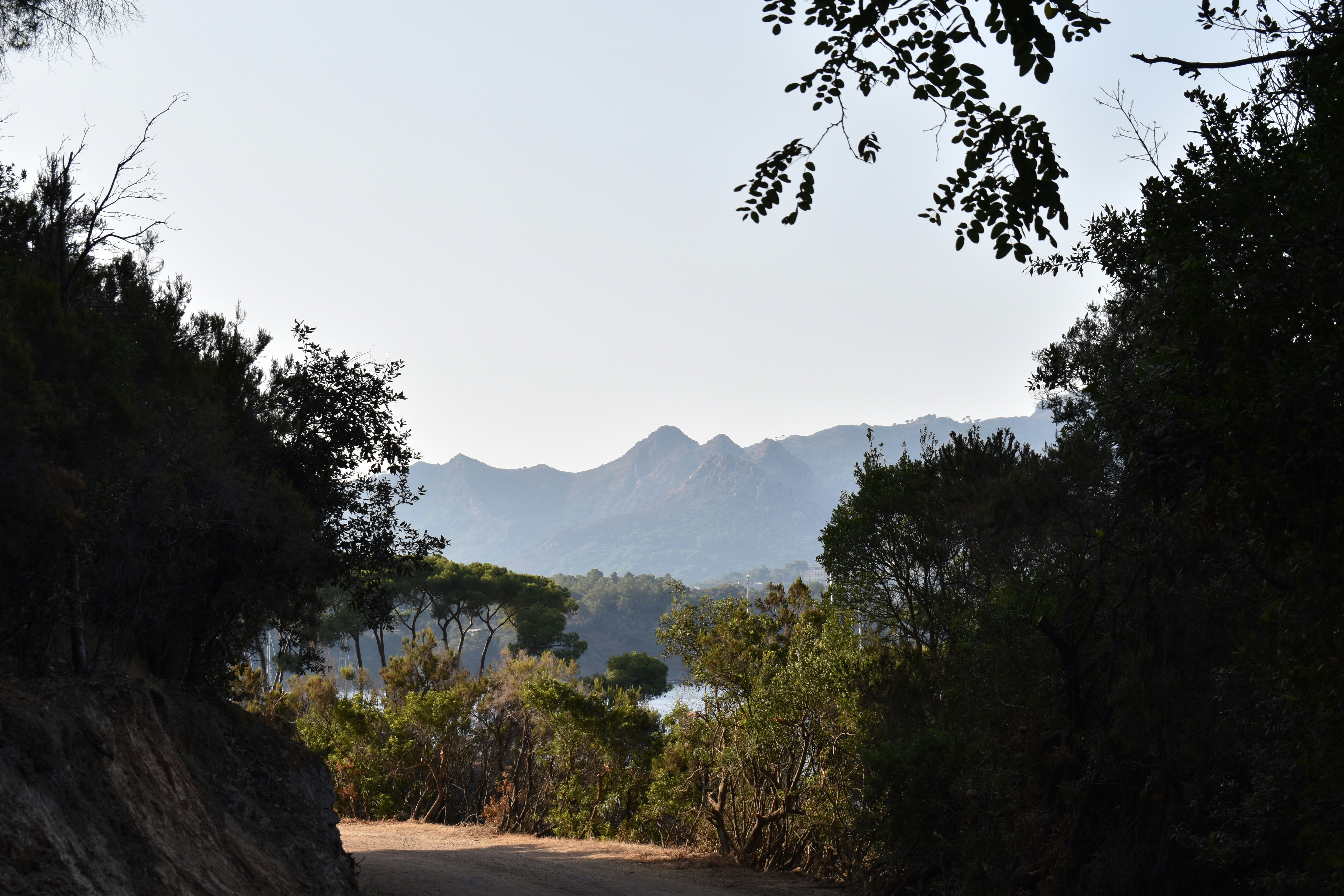 A serene dirt path meanders through lush greenery, leading towards distant mountains under a clear sky.