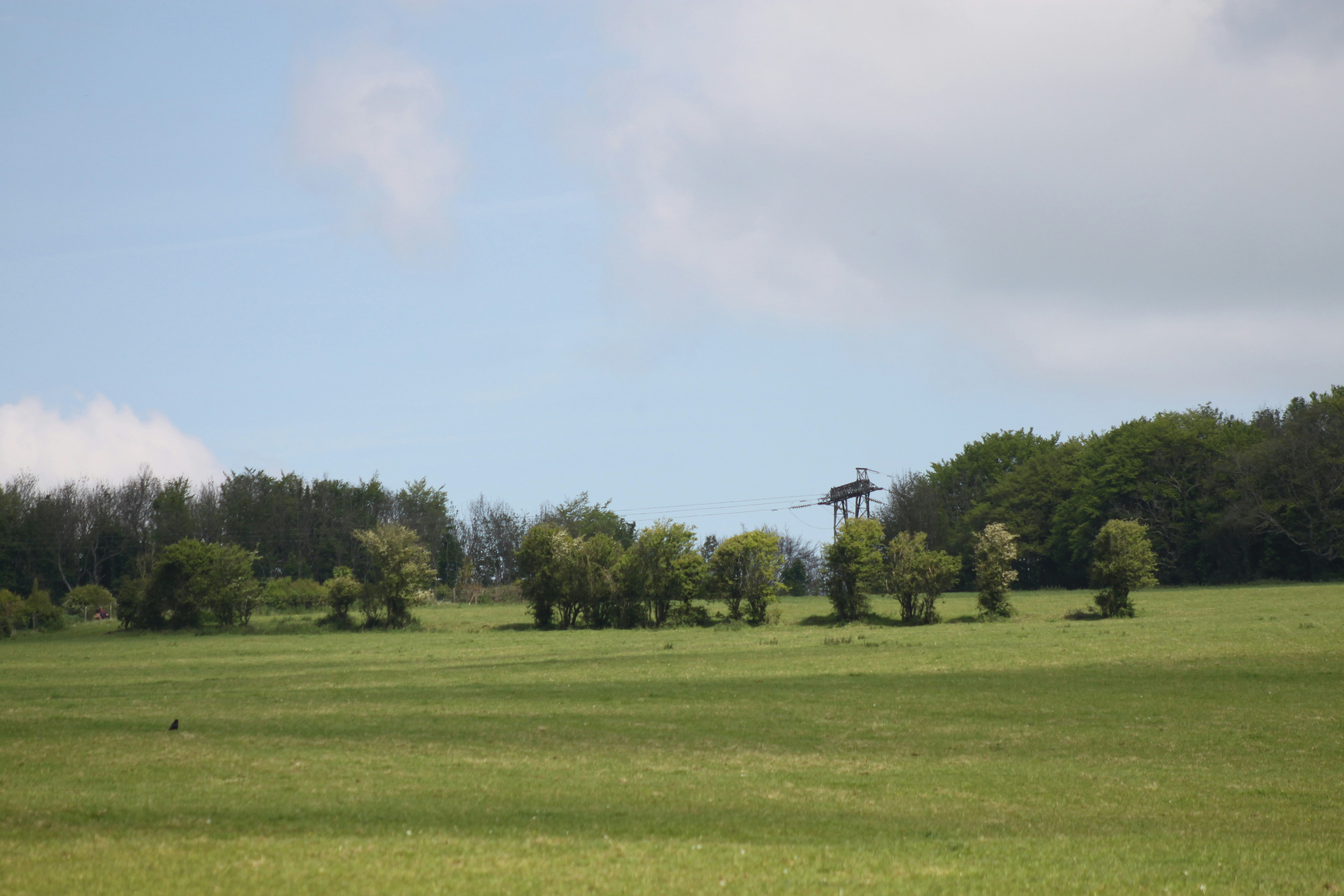 Photo by Ruby Lalor with Canon EOS 500D