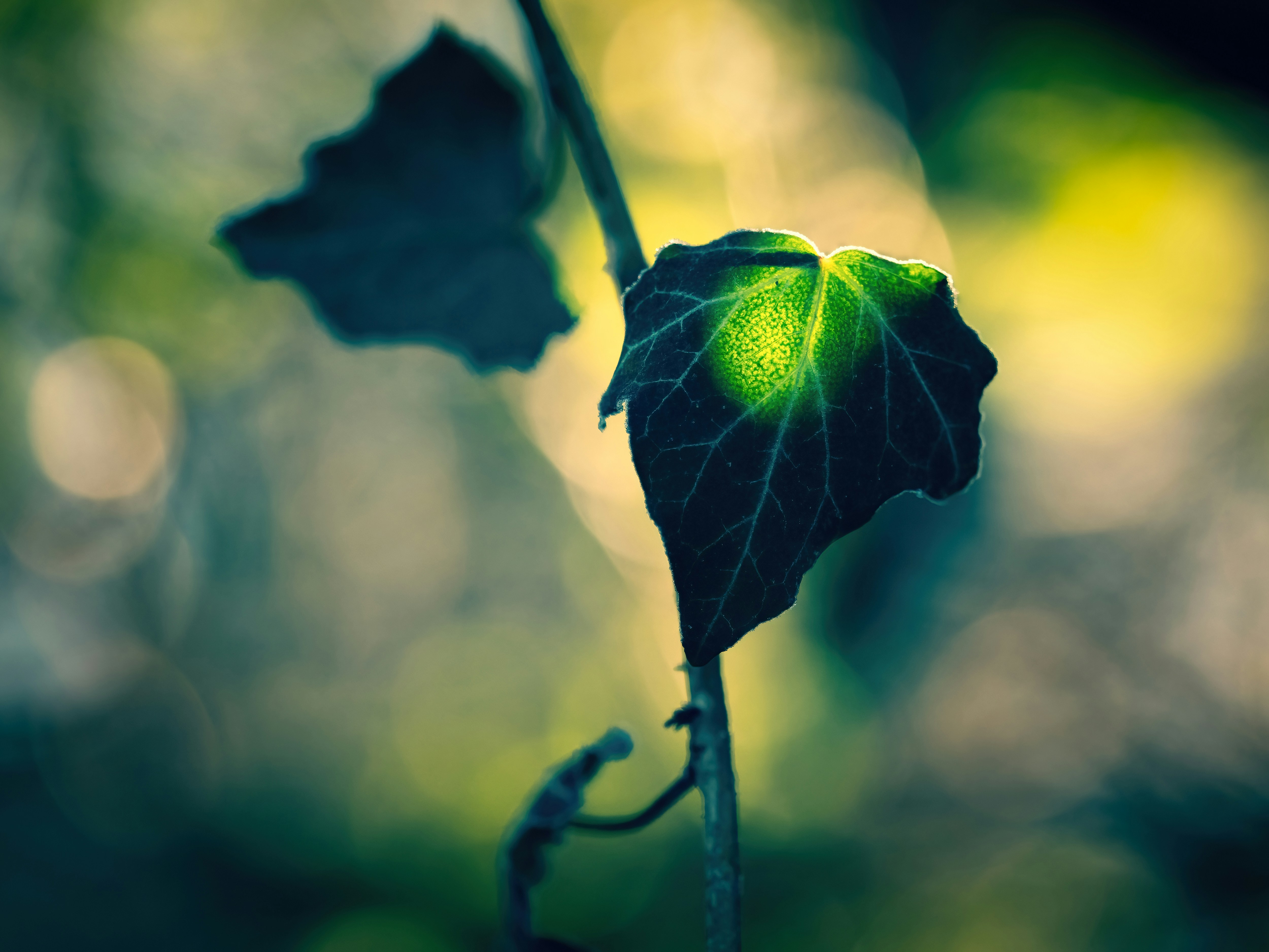 Photo by Doncoombez with Olympus OM-D E-M1X