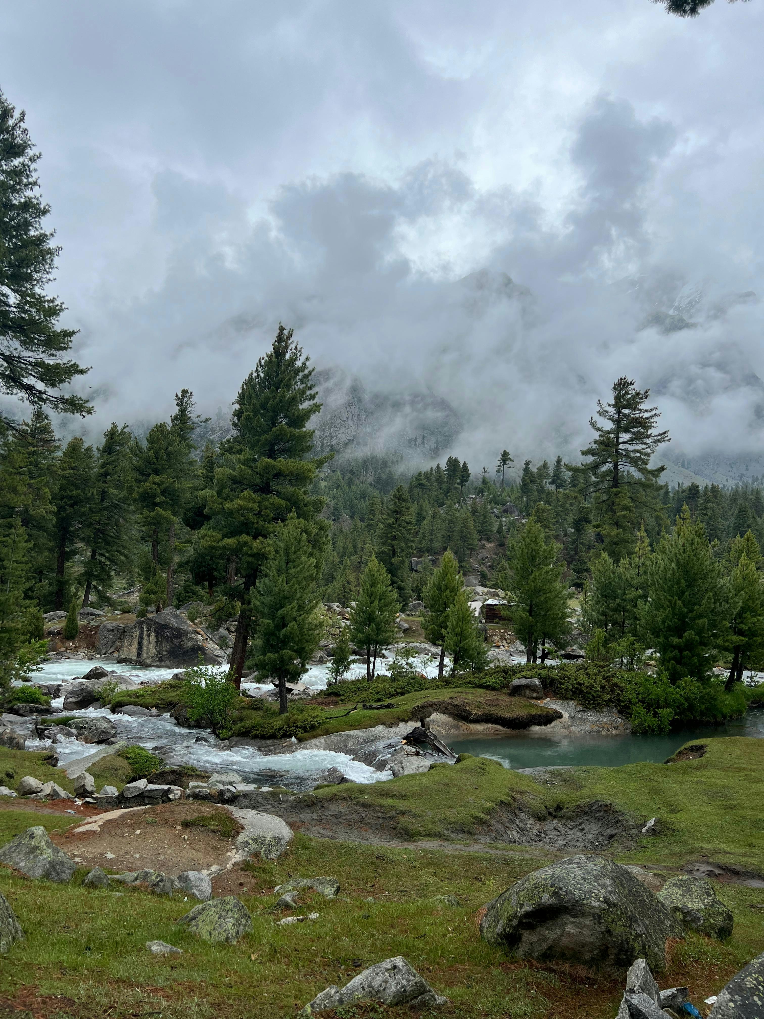 A river running through a lush green forest photo – Free Allah wali ...