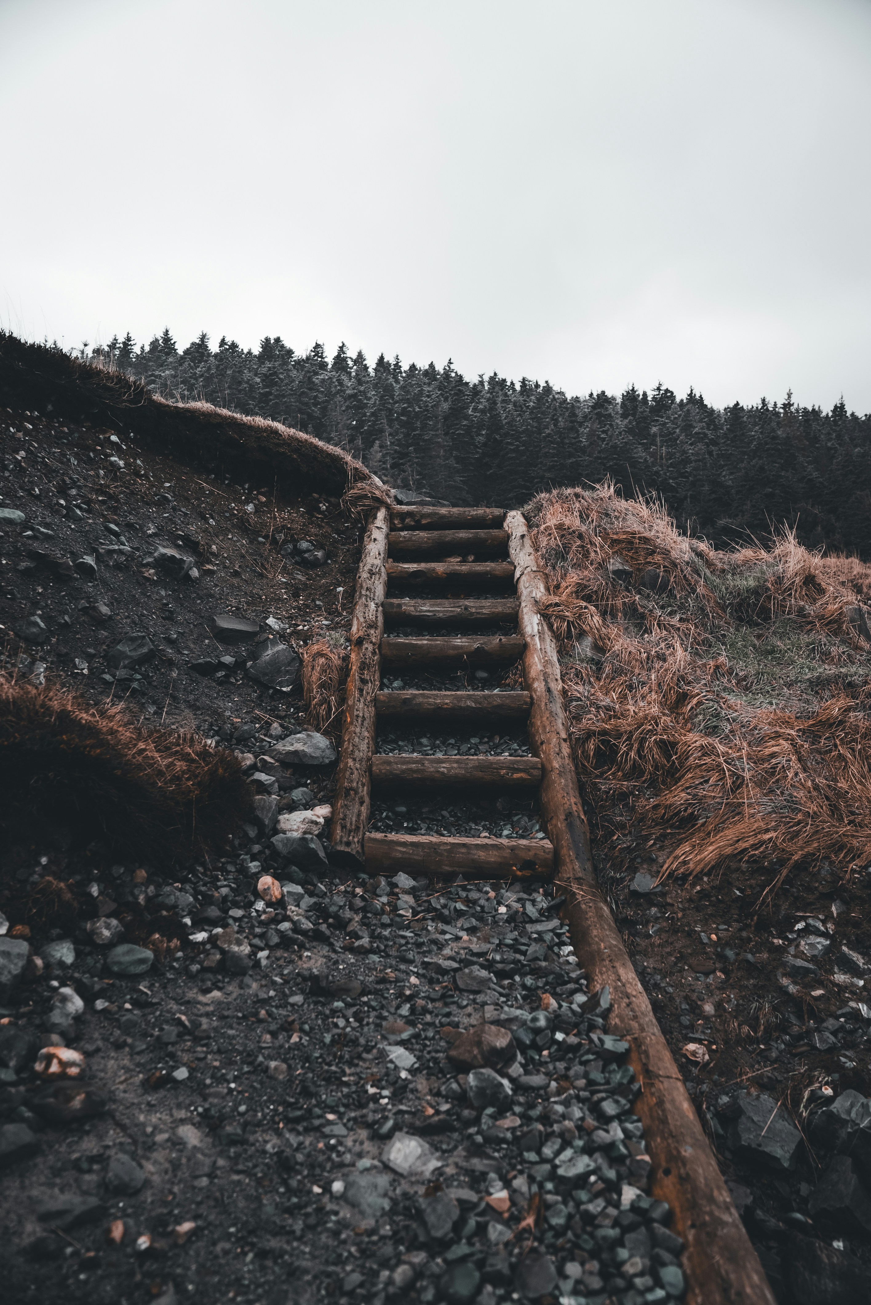 Un ensemble d’escaliers menant au sommet d’une colline photo – Image ...