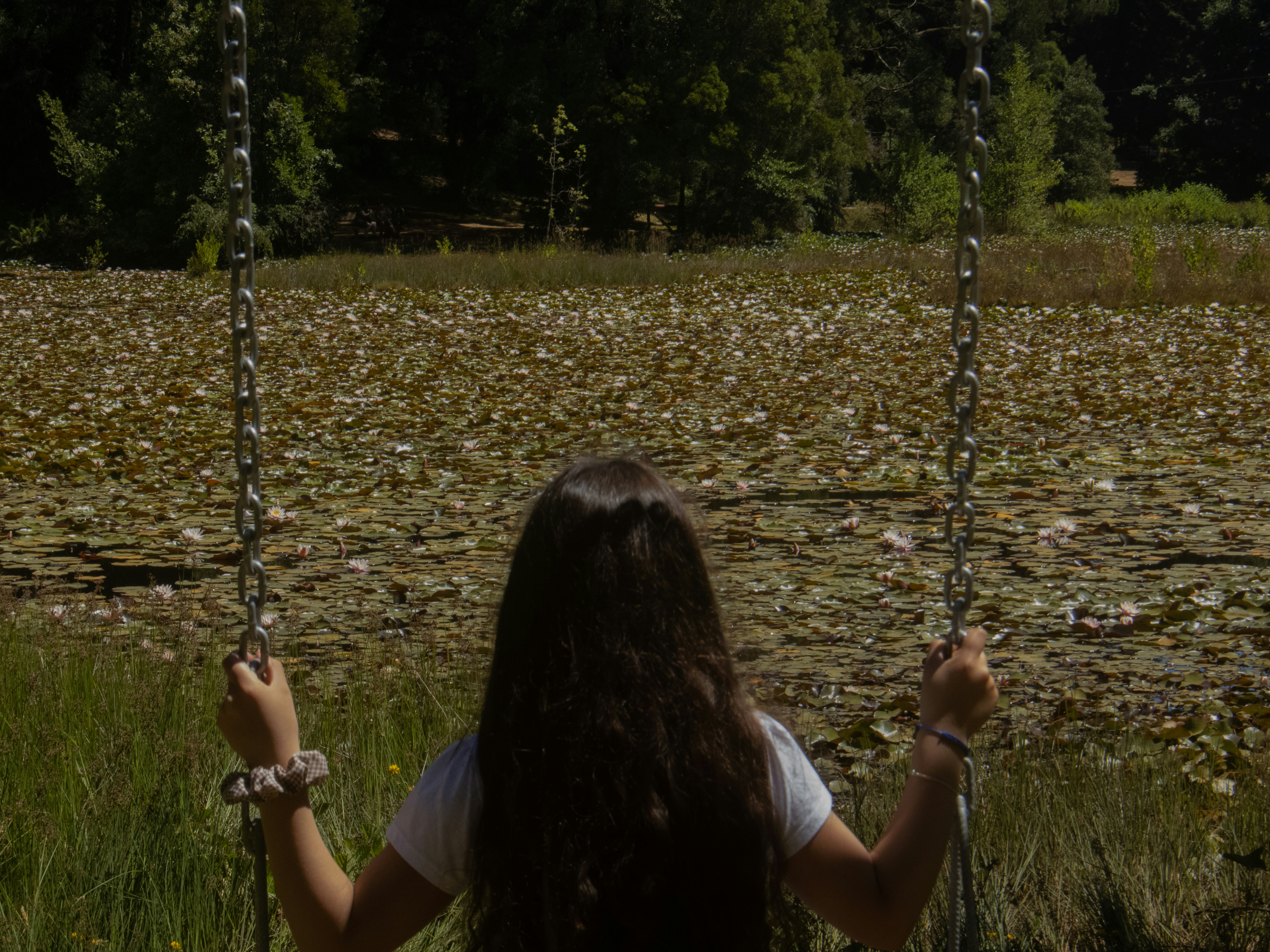 Whispers of Nature: A Swing into Serenity