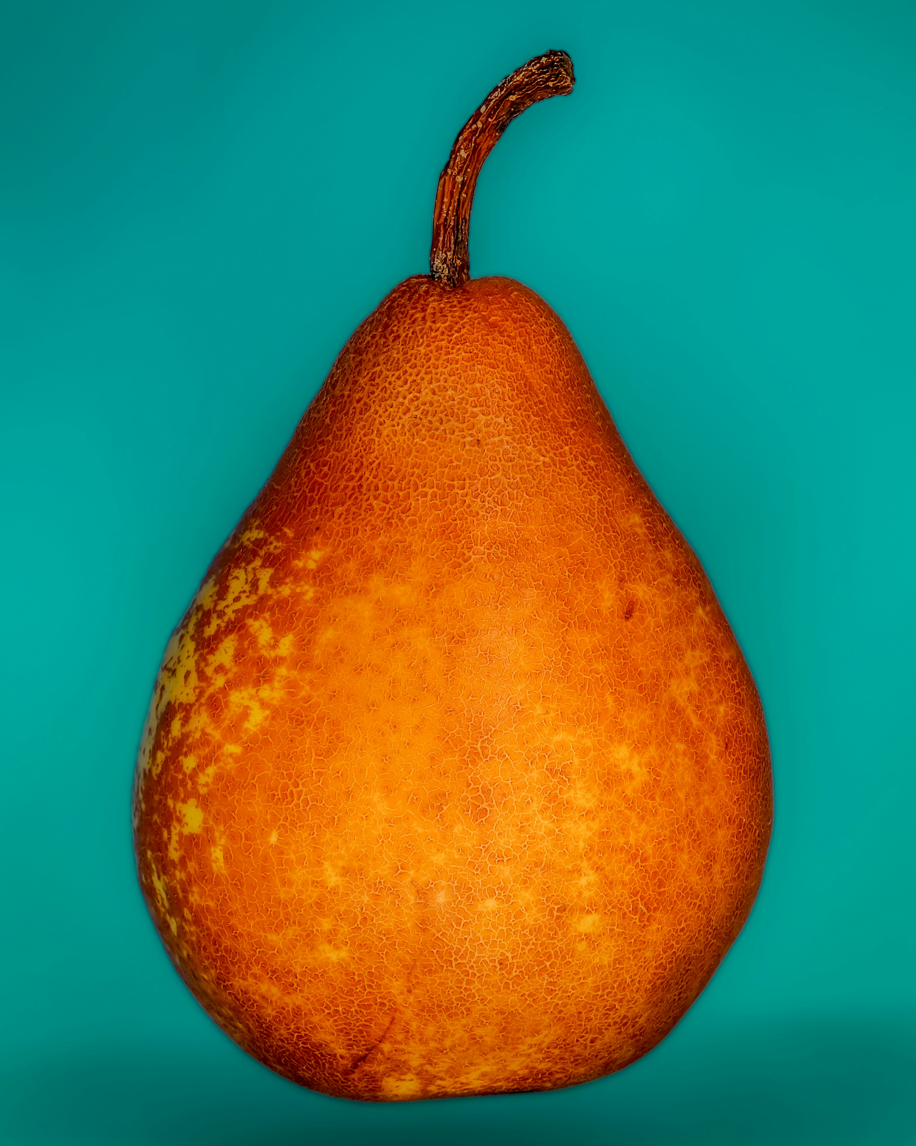 500+ Pear Pictures [HD] | Download Free Images on Unsplash