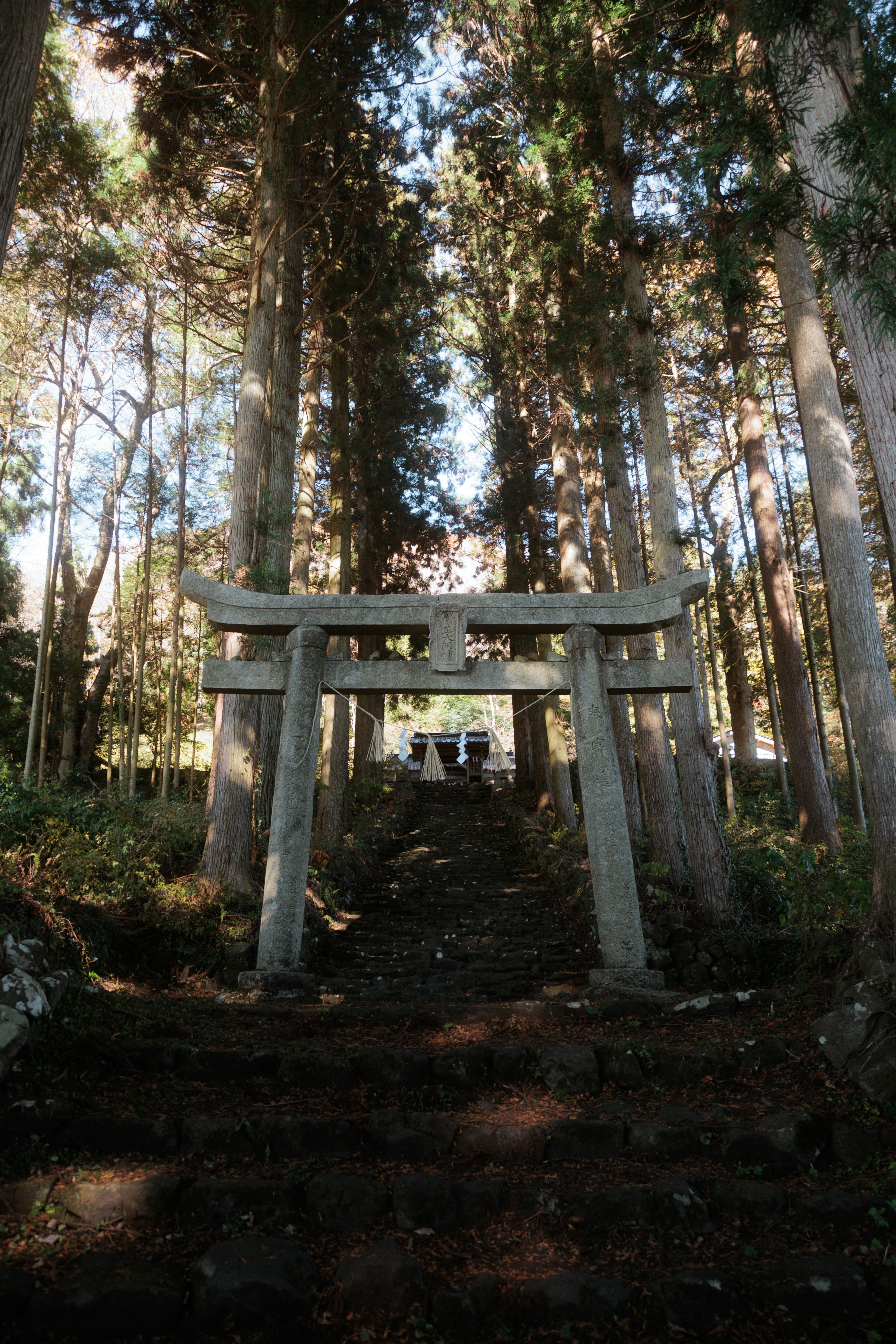 Photo by Gaku Suyama with Canon EOS R6