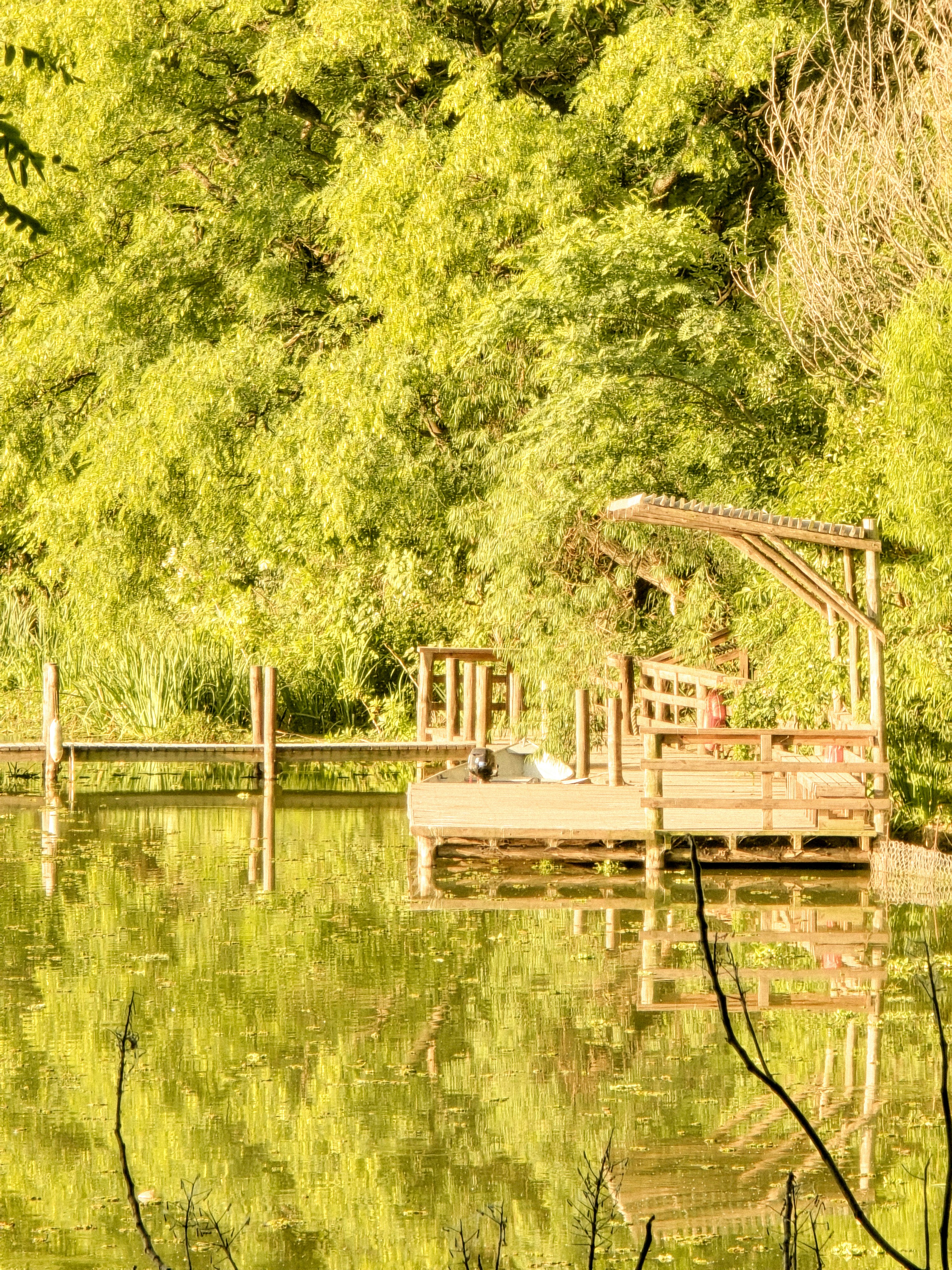 Photo by Gabryel Alcantara with Samsung Galaxy S24 Ultra