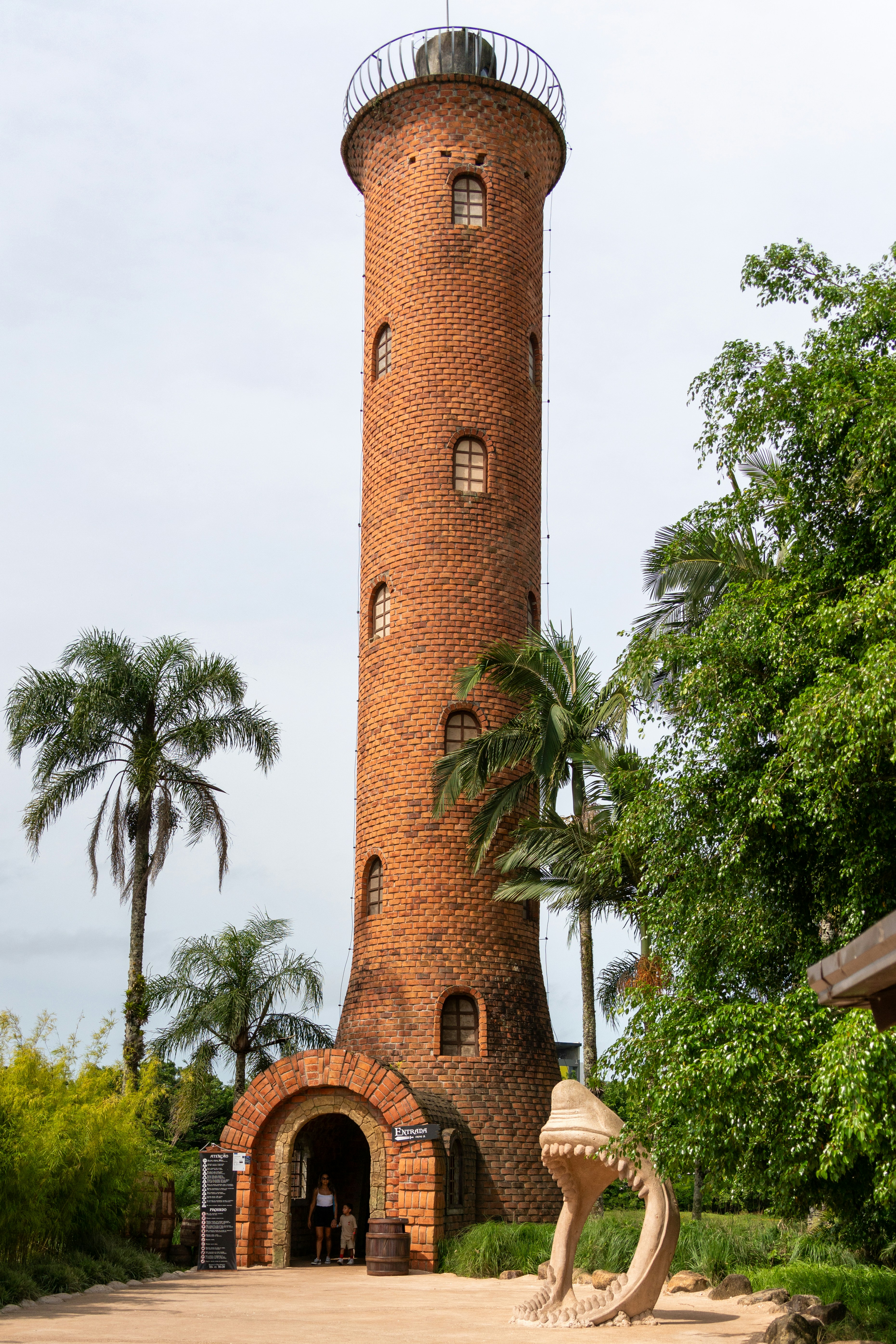Photo by Fernando Dantas with Sony Alpha 7R IIIA