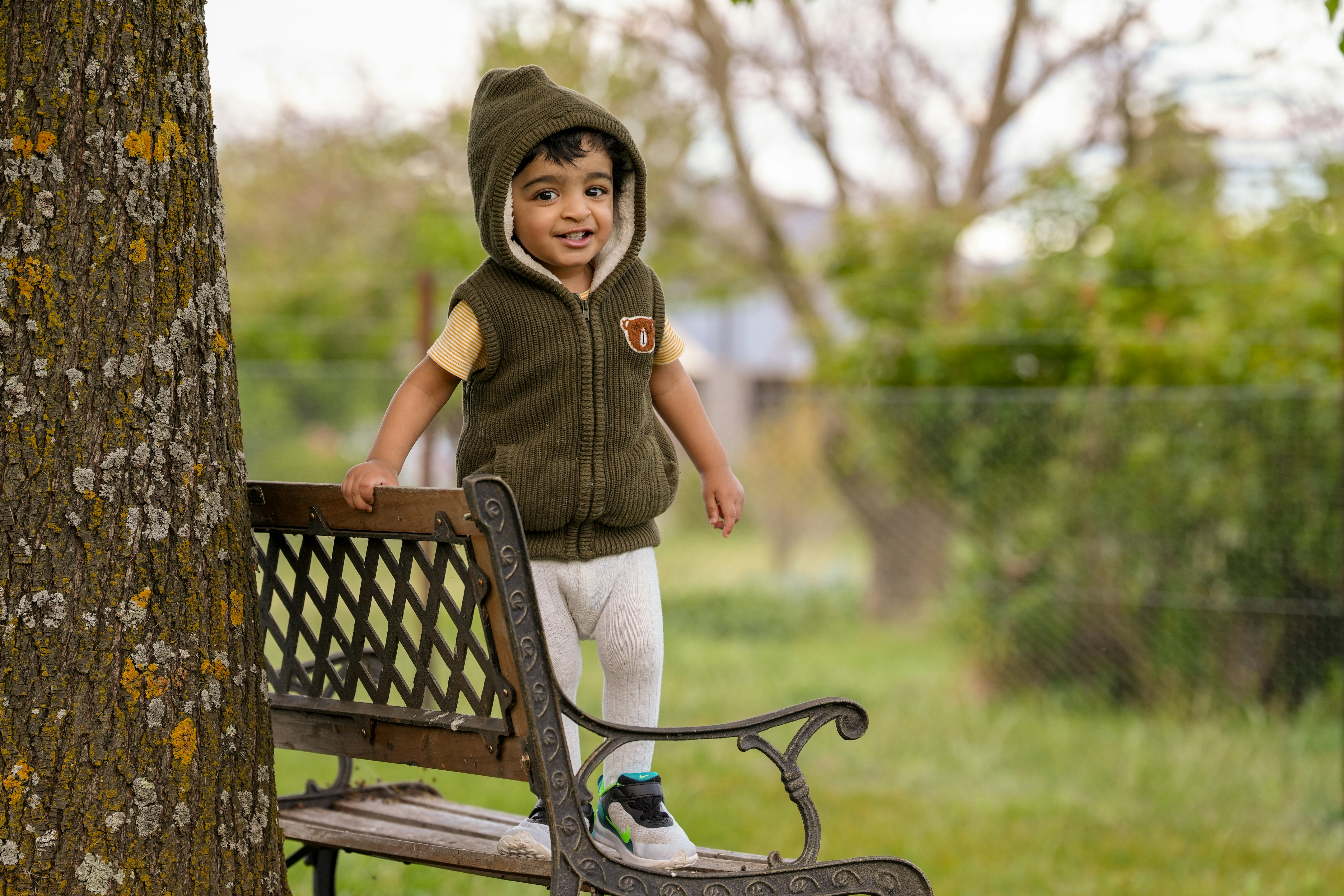 A young child standing on a bench next to a tree photo – Free Human ...