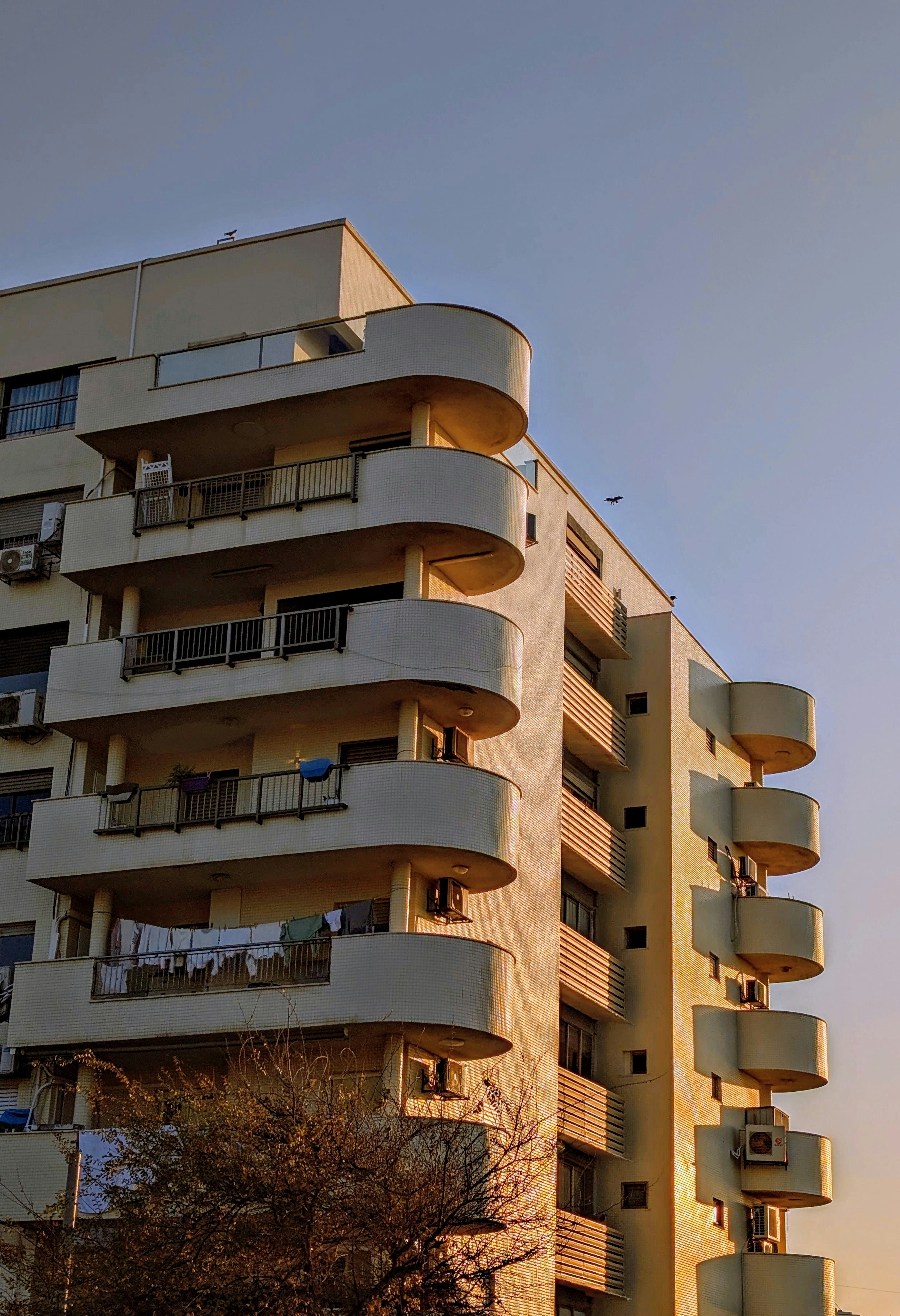 Photo by Yura Finkel with Google Pixel 8