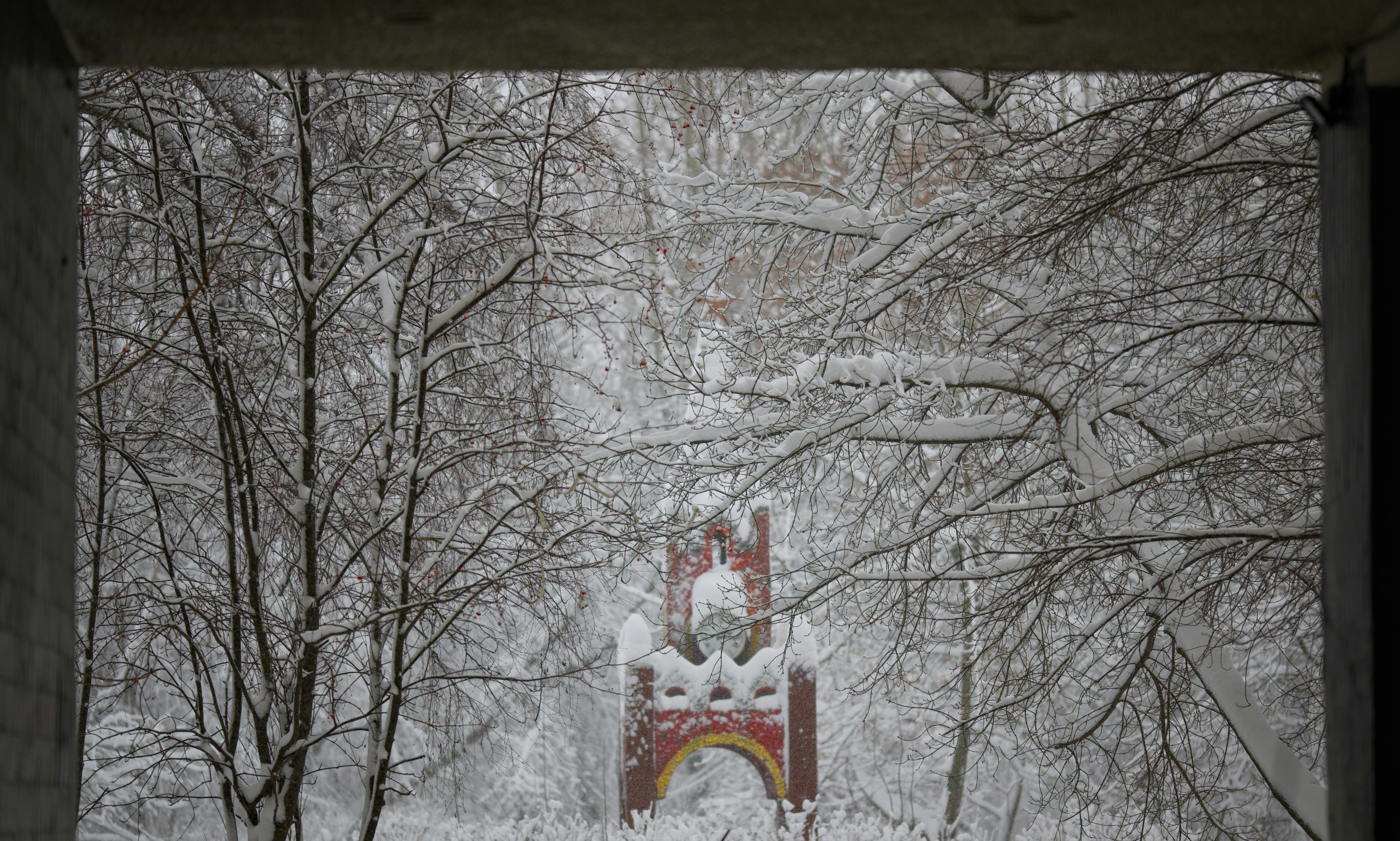 Framed Silence: A Crimson Gate Emerges Through Snowbound Trees