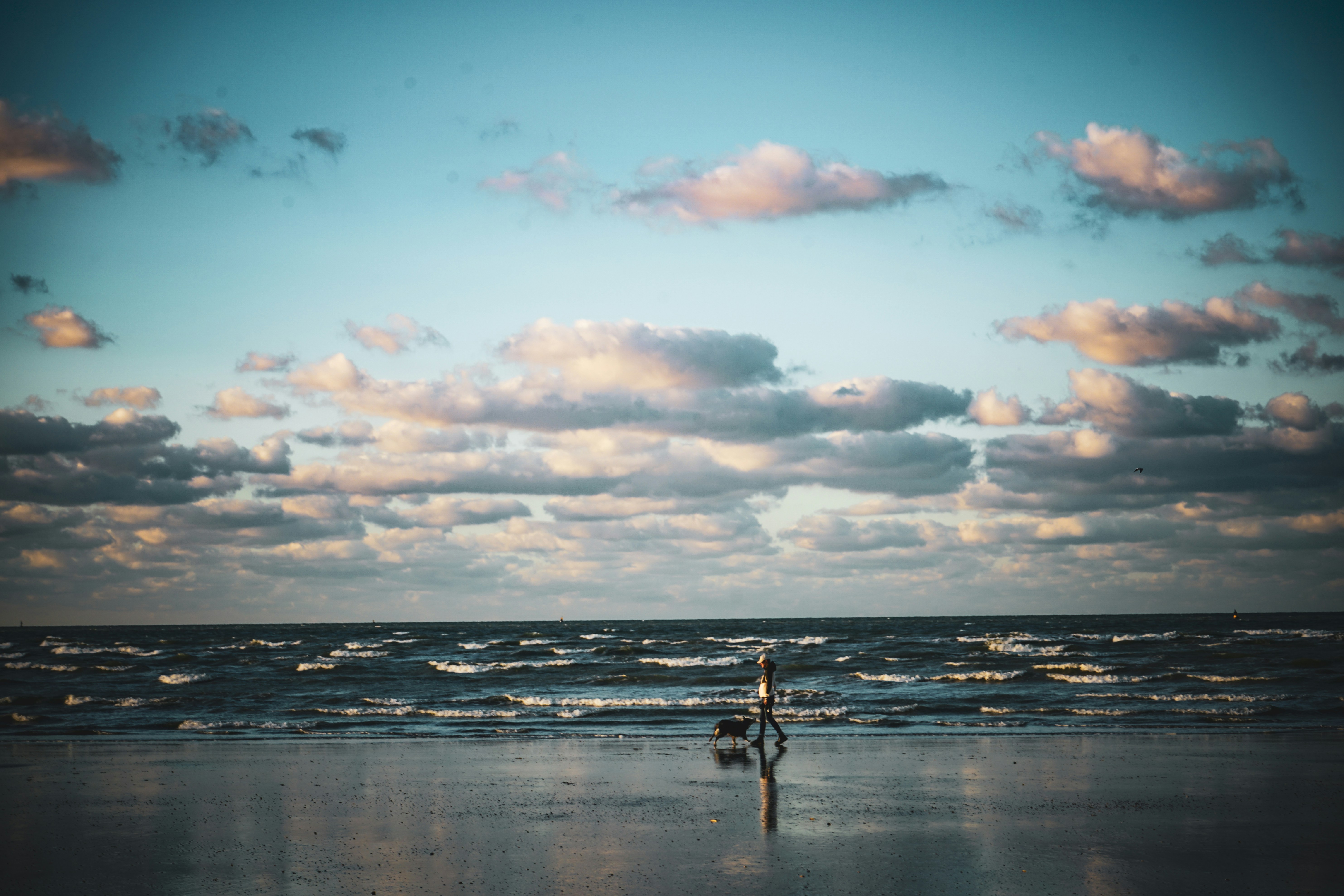 Gambar Pantai Bukit Pasir | Unduh Gambar Gratis di Unsplash
