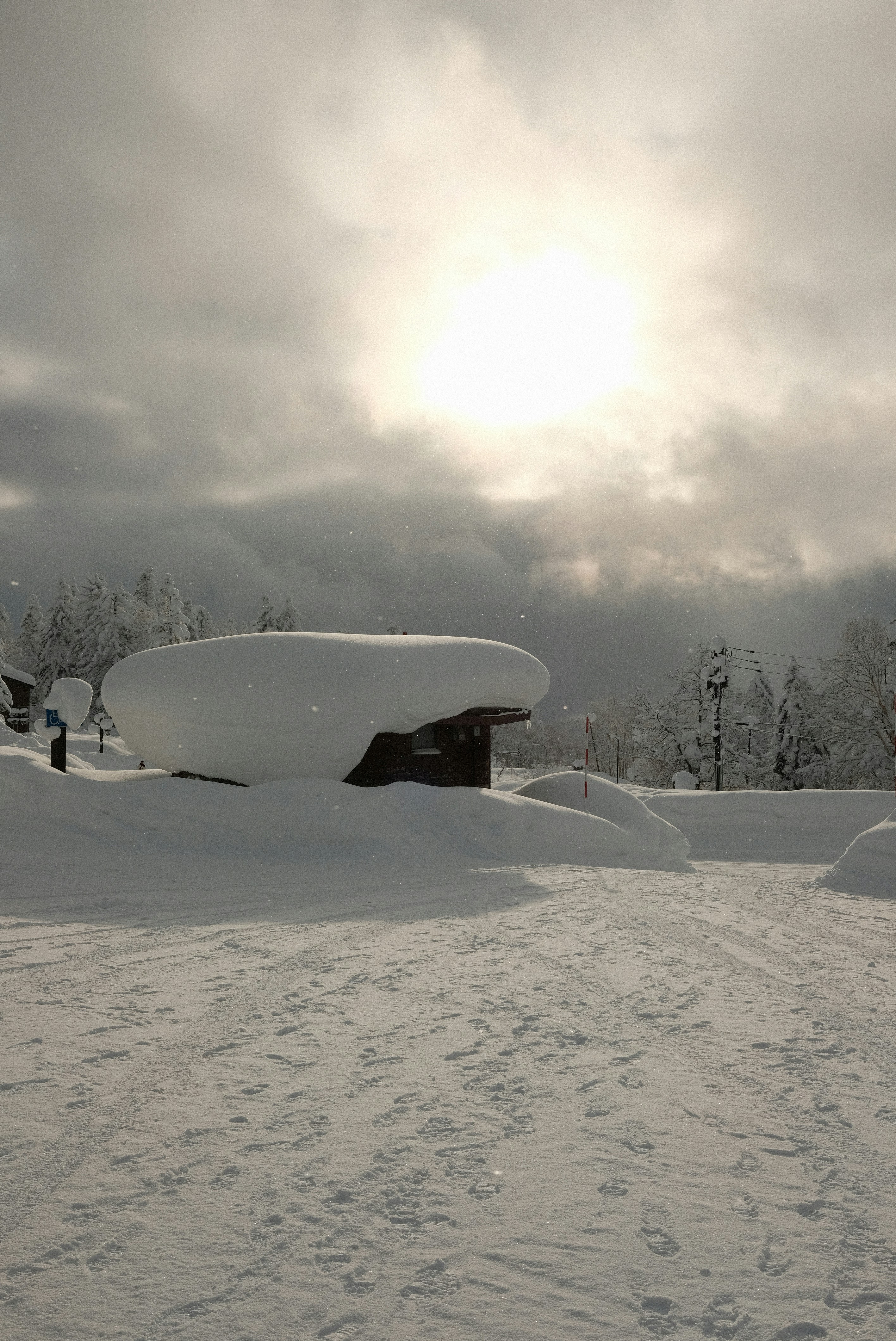 Snow-Wrapped Shelter under a Quiet Winter Sun