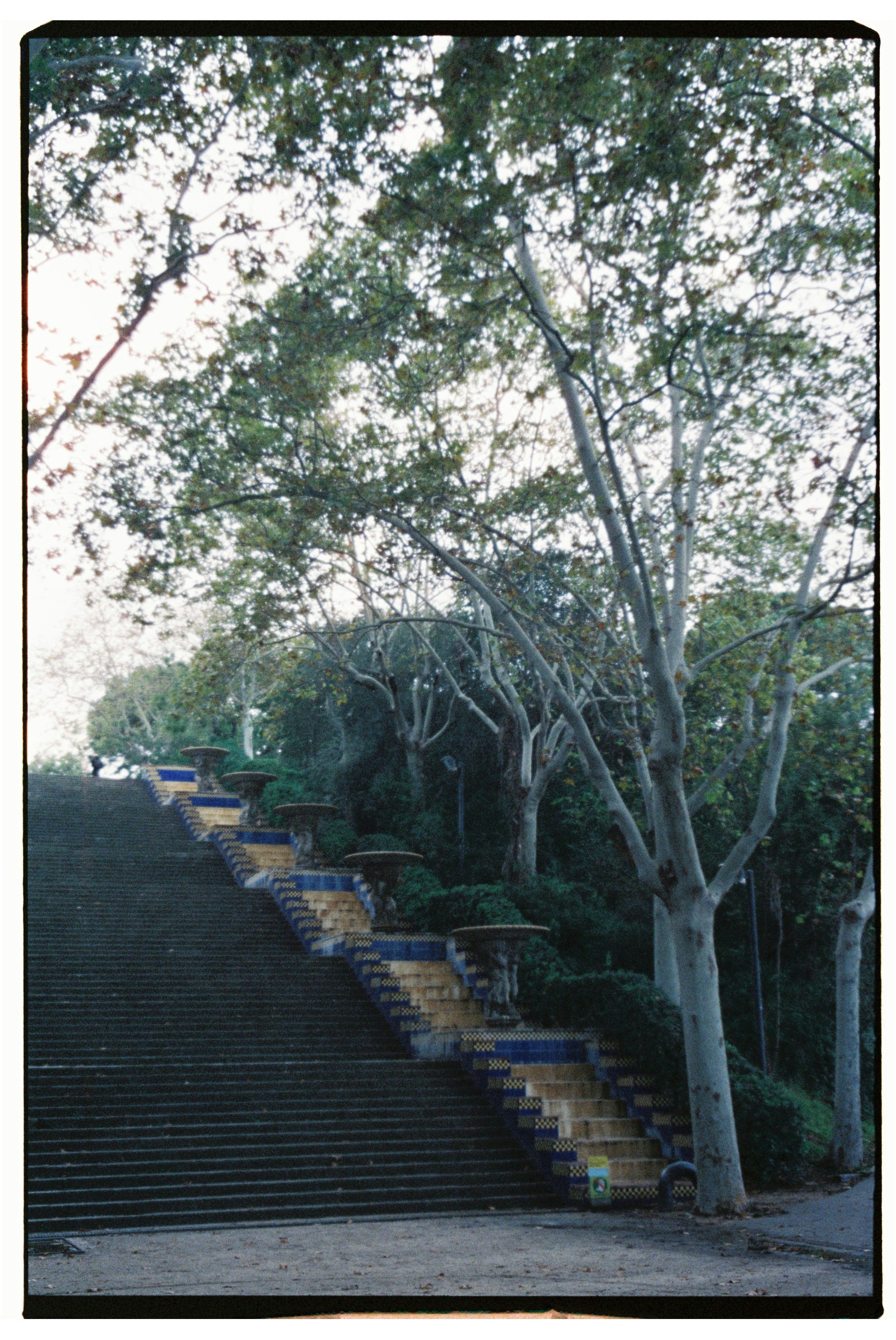 Blue-Tiled Staircase Winding Through a Quiet Grove