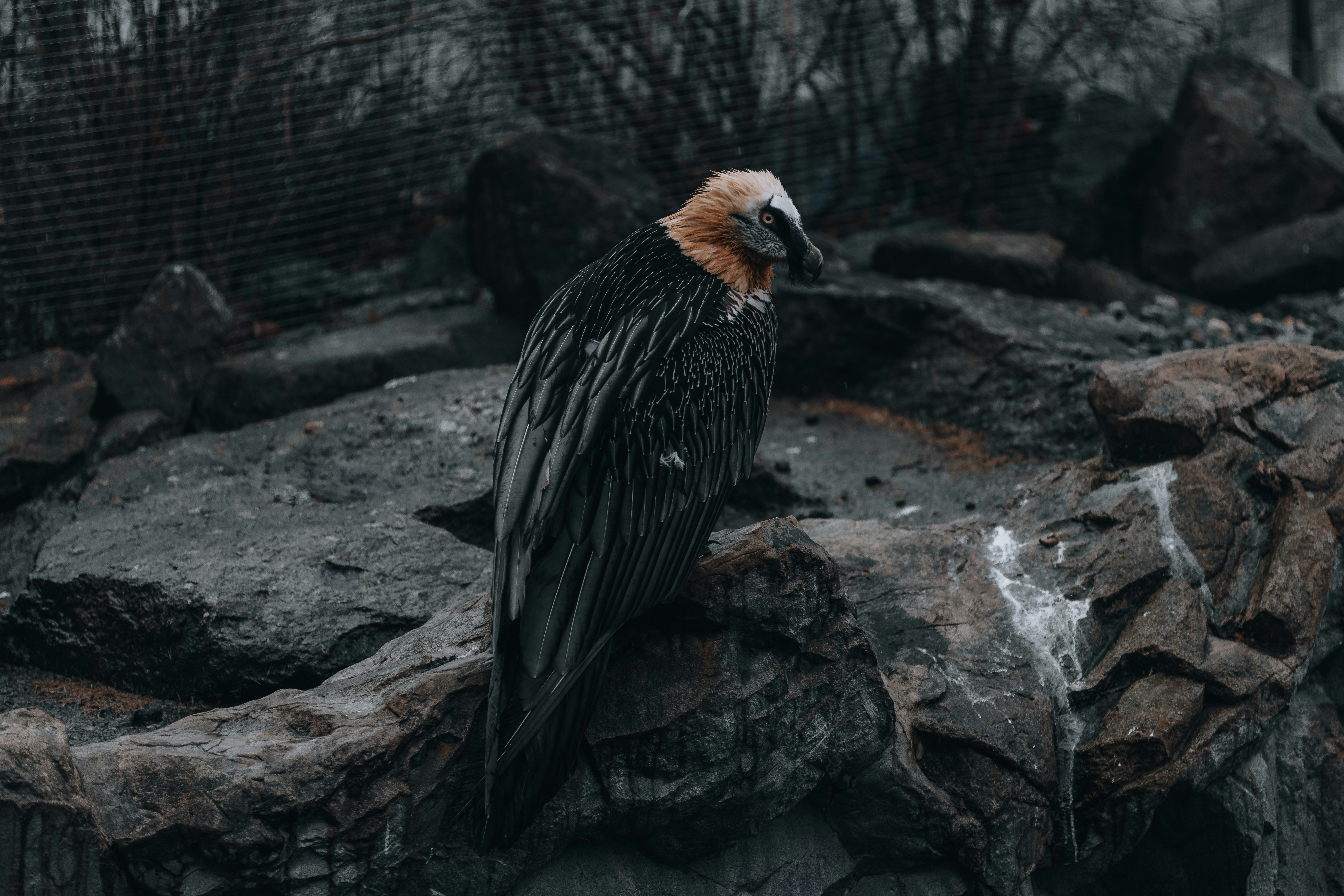 Photo by Florian Schindler with Canon EOS R5