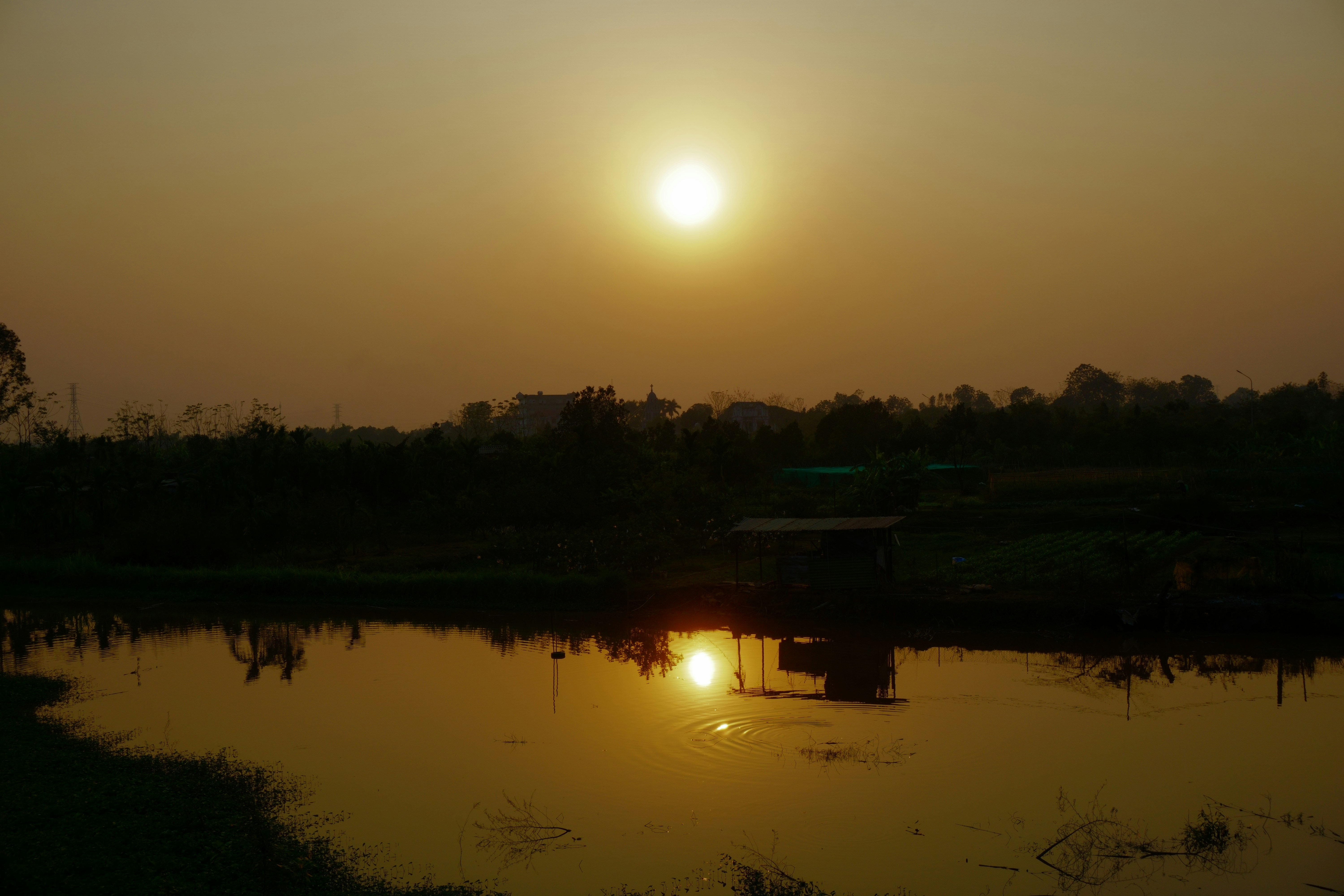 Horizon Fire Over a Quiet Pond: A Golden Twilight Reflection