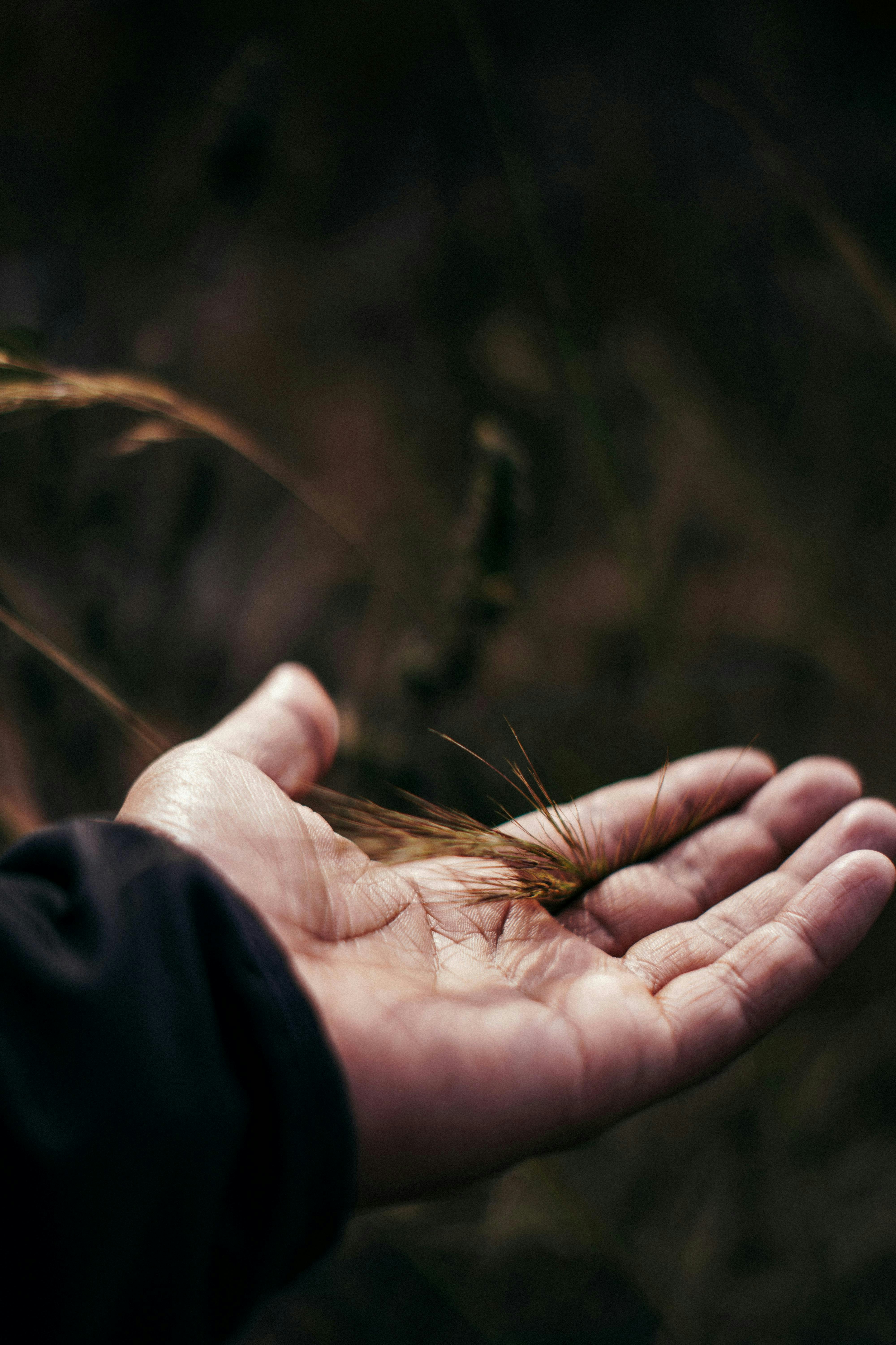 A person holding their hand out to the ground photo – Free Finger Image ...