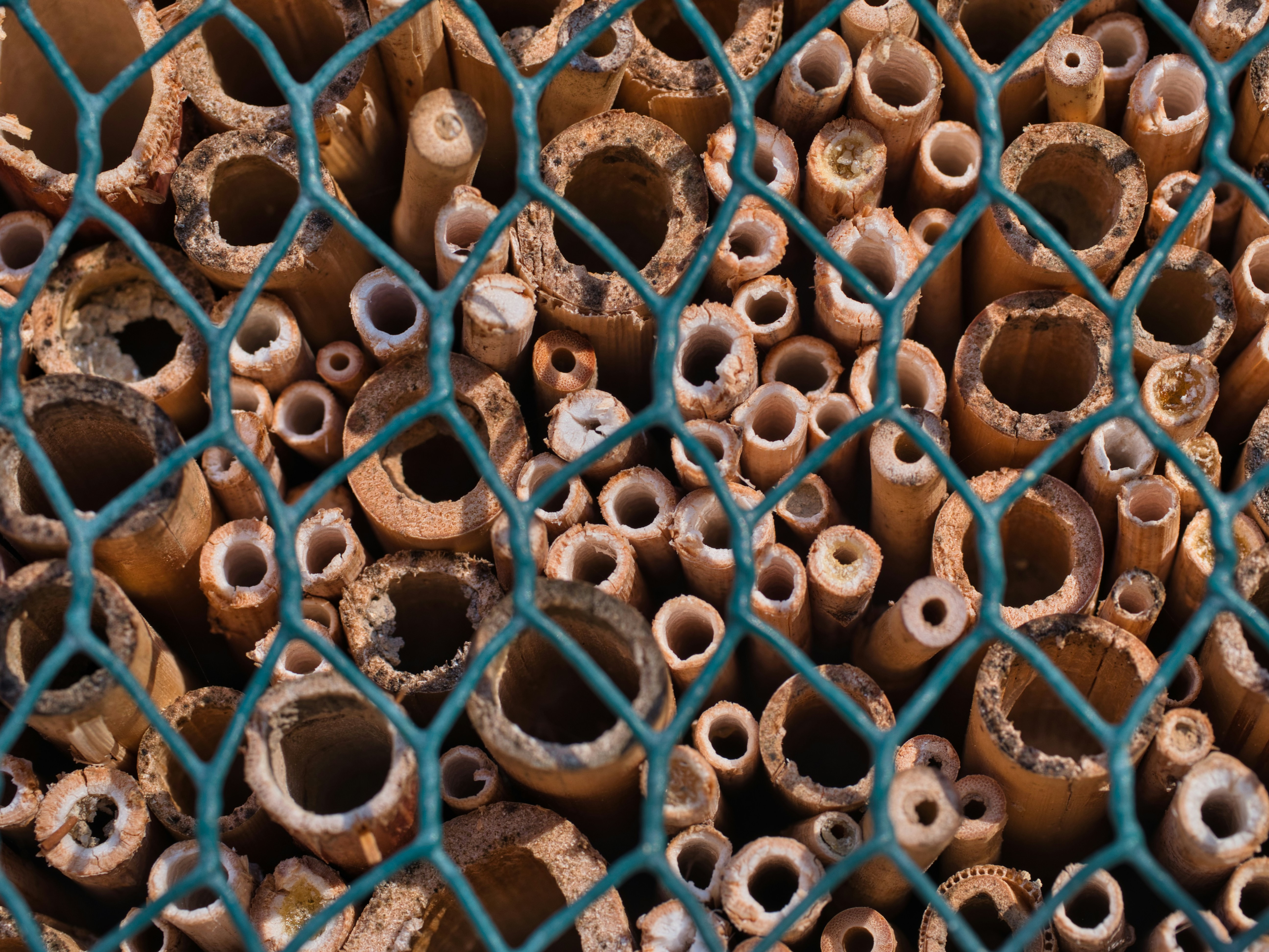 A large pile of old wooden objects behind a fence photo – Free Texture ...