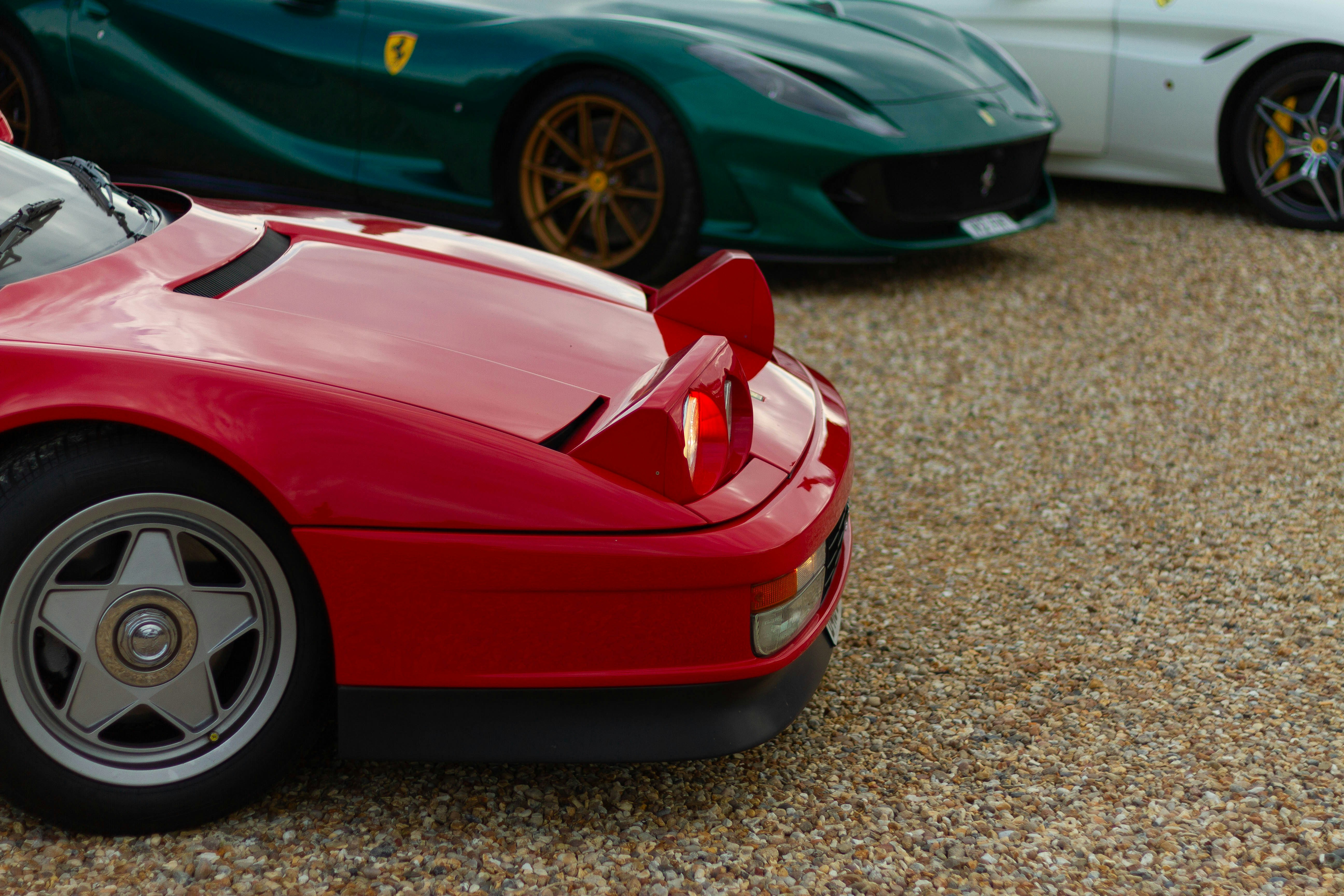 Photo by Elliot Black García with Canon EOS 7D