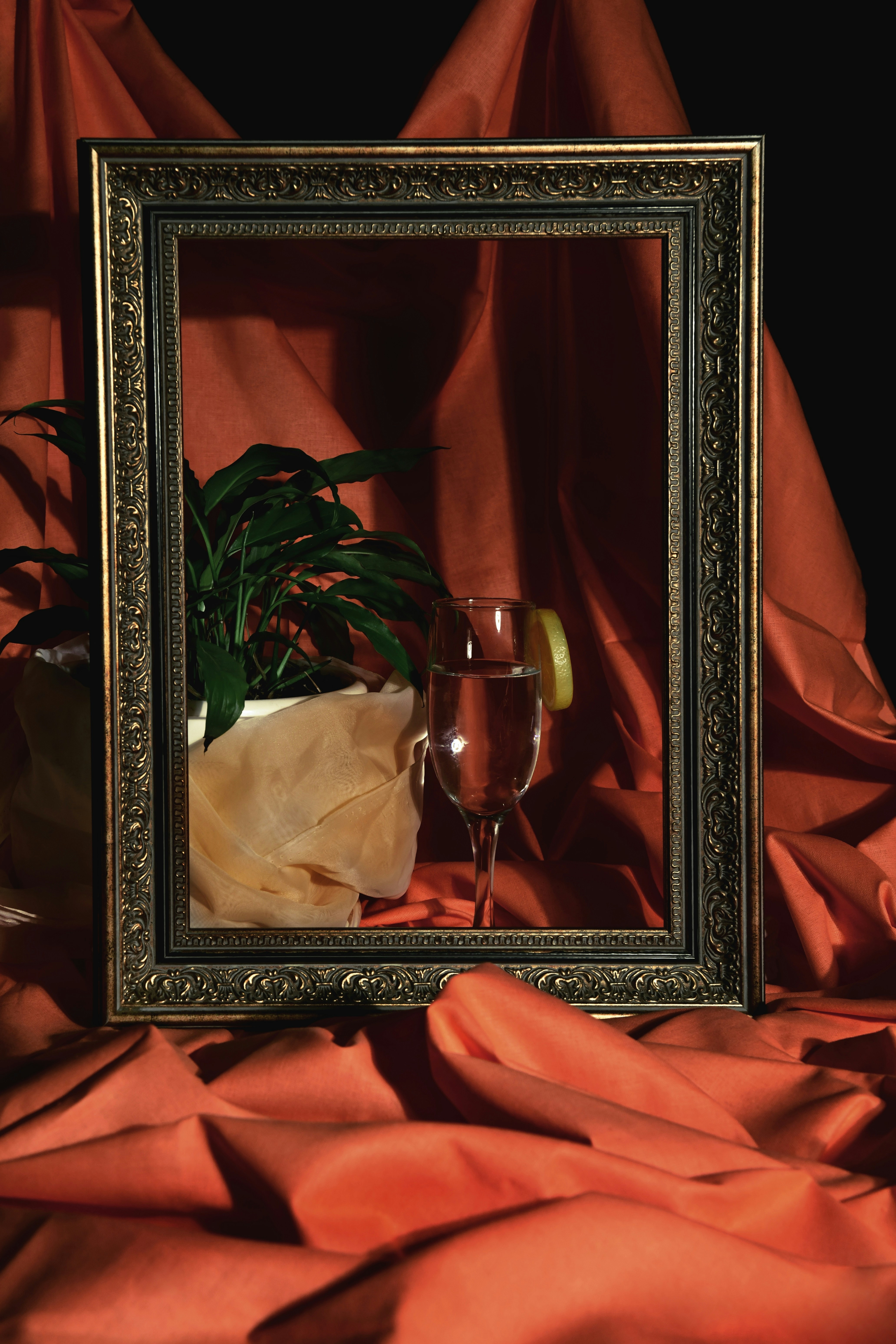 Gilded Frame, Velvet Light: A Glass and Plant Portrait