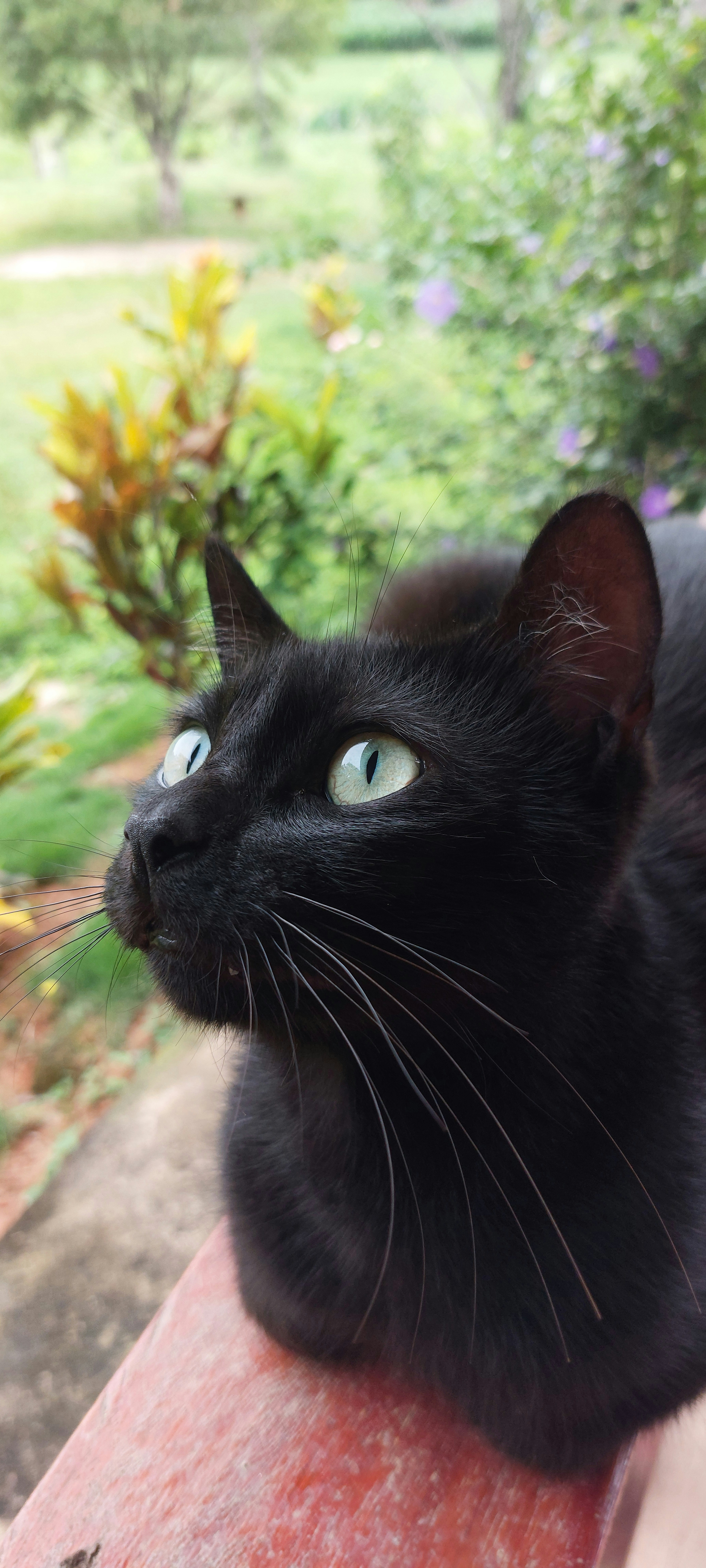 Maria de Lourdes Medeiros da Silva Lu (@lumesi) | Komunitas Foto Unsplash