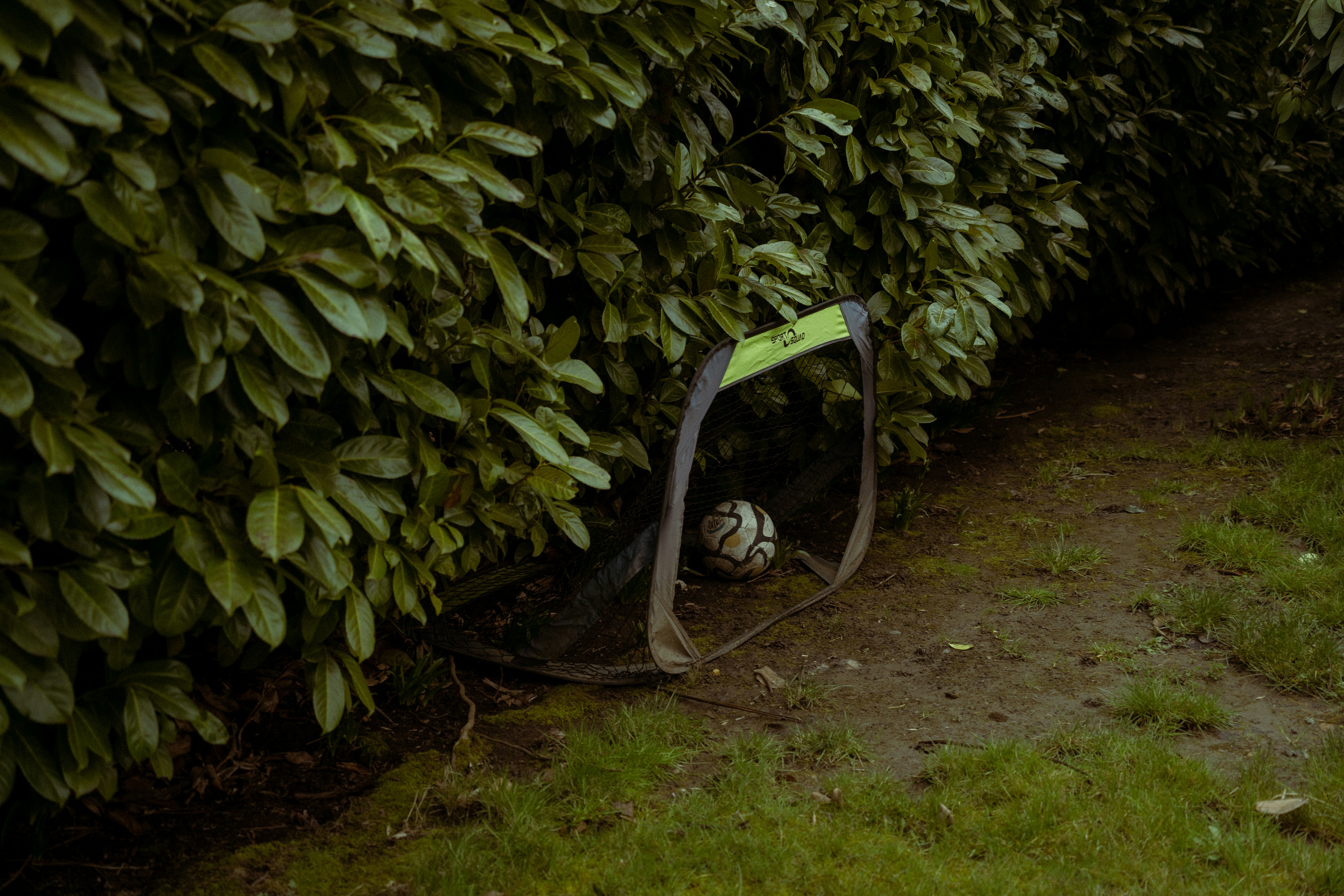 A soccer ball sitting in the corner of a hedge