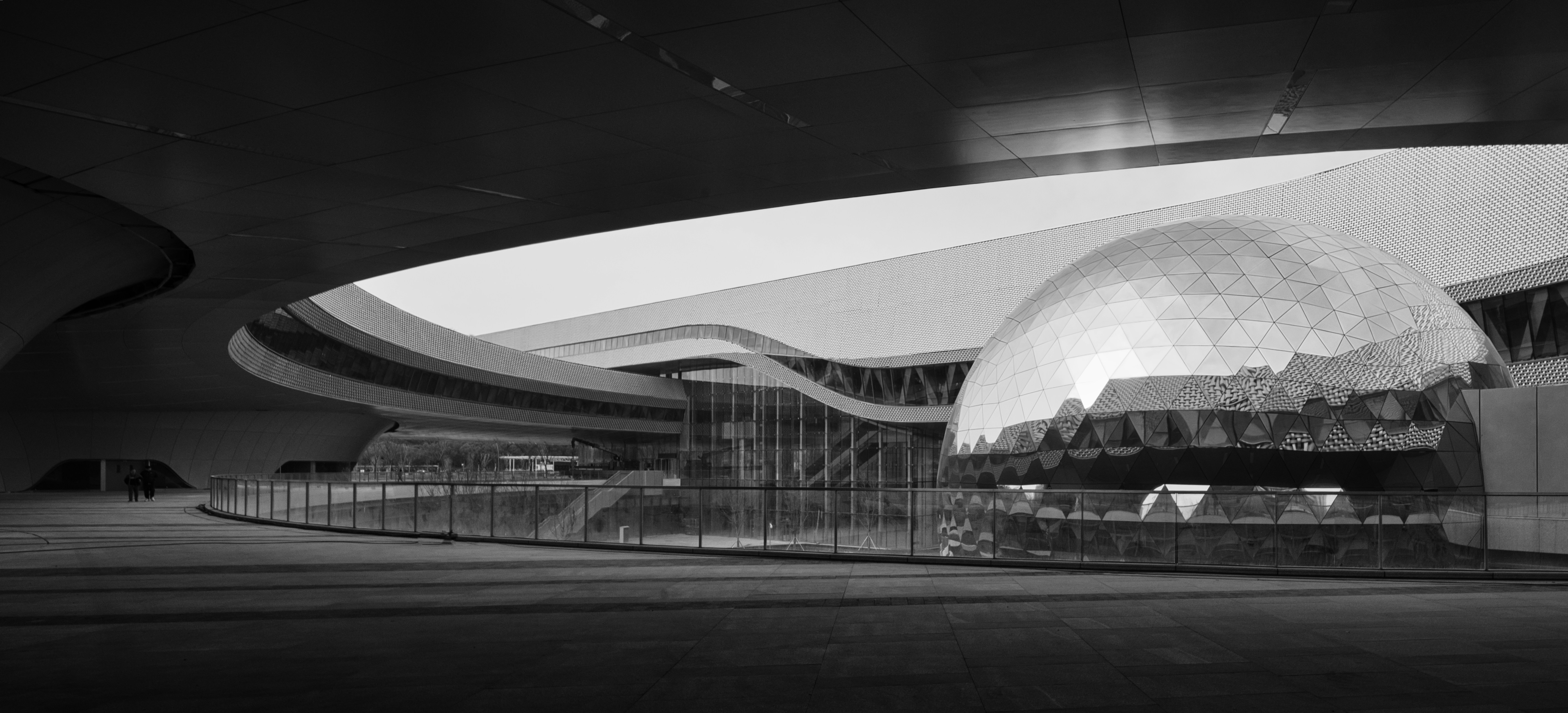 Photo by Jimmy Liu with Sony Alpha 7 IV