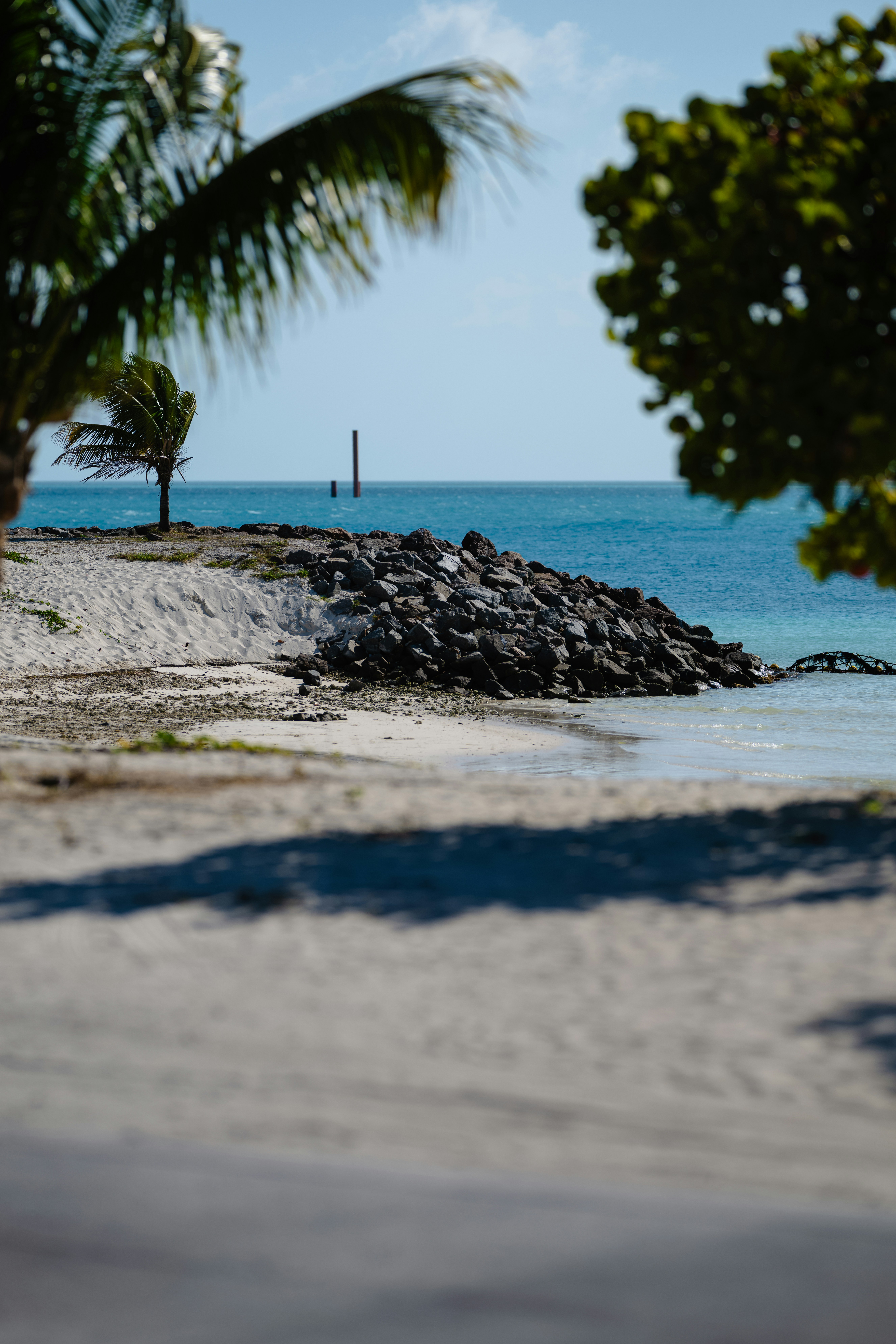 Photo by Ryan Grewell with Nikon Z8