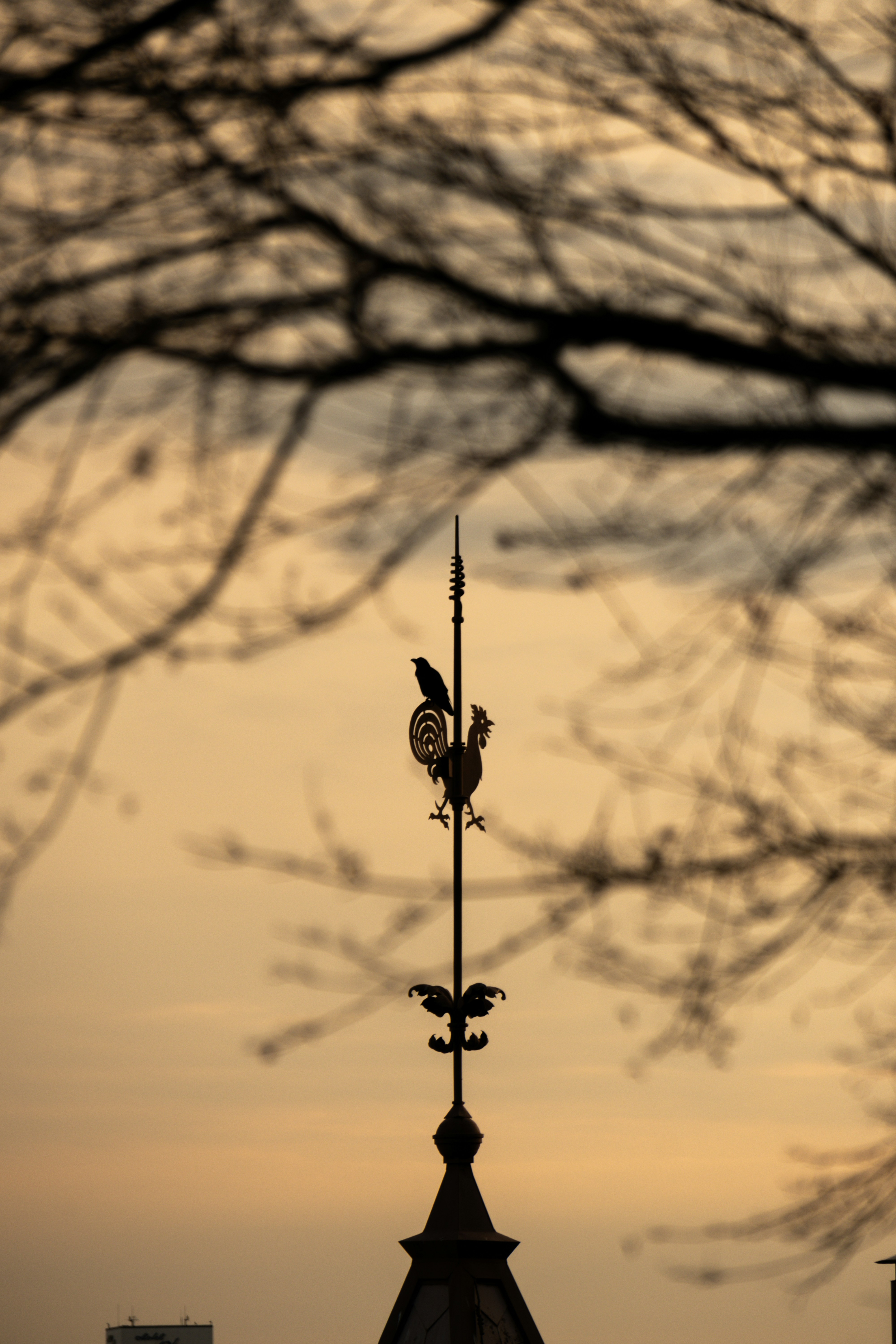 A clock tower with a weather vane on top of it photo – Free Silhouette ...