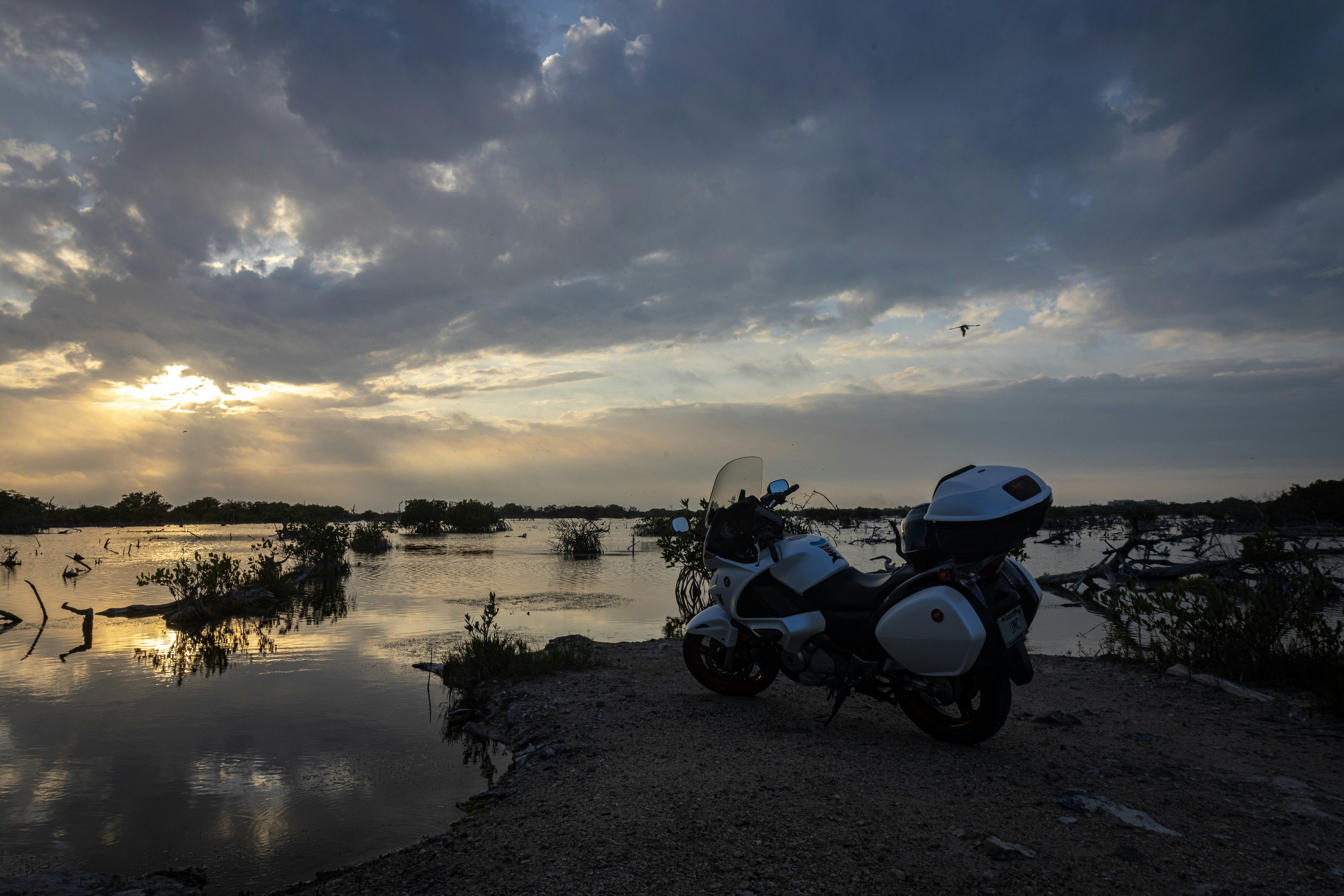 Photo by Alfonso Betancourt with Canon EOS R