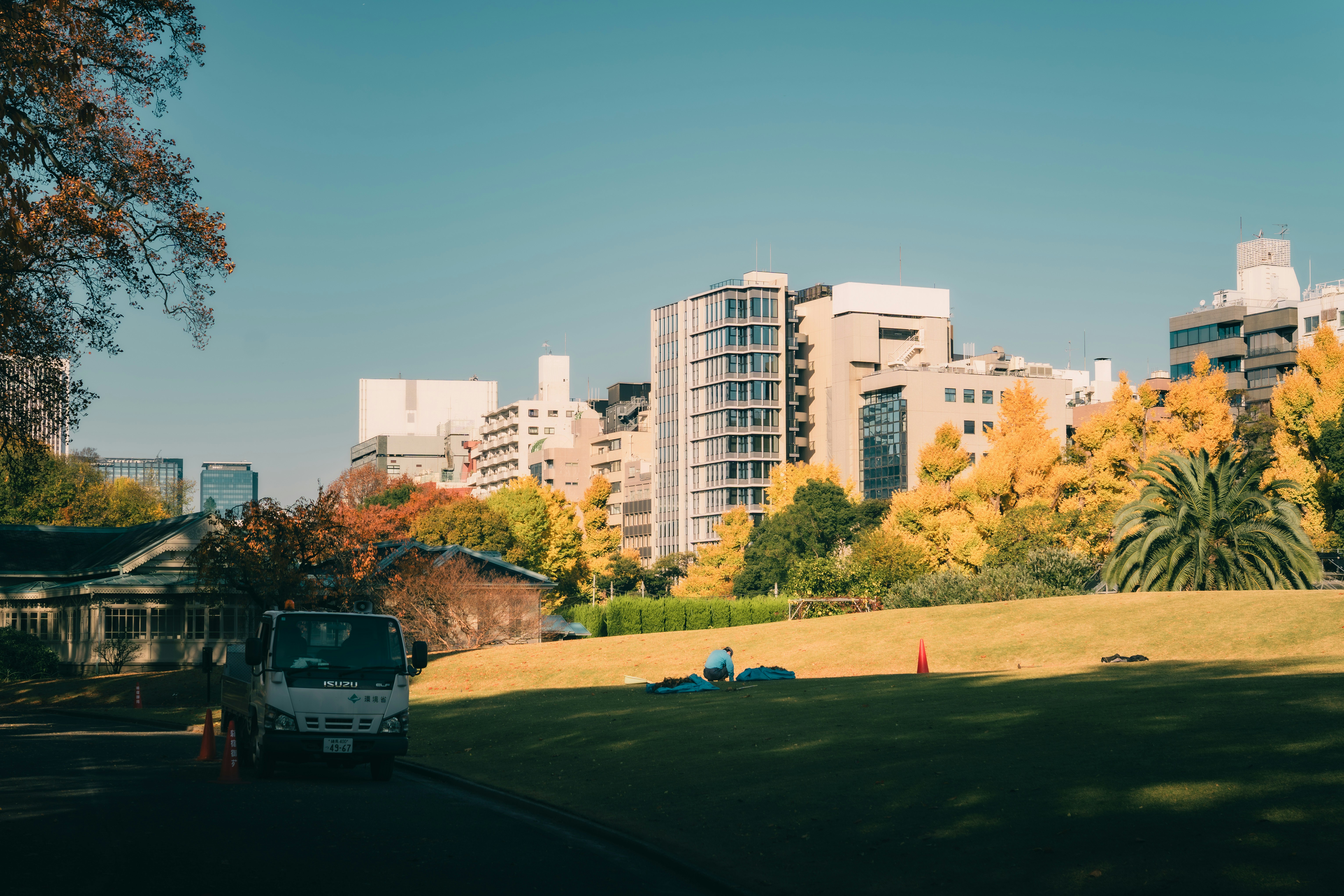 A view of a park with buildings in the background photo – Free Shinjuku ...