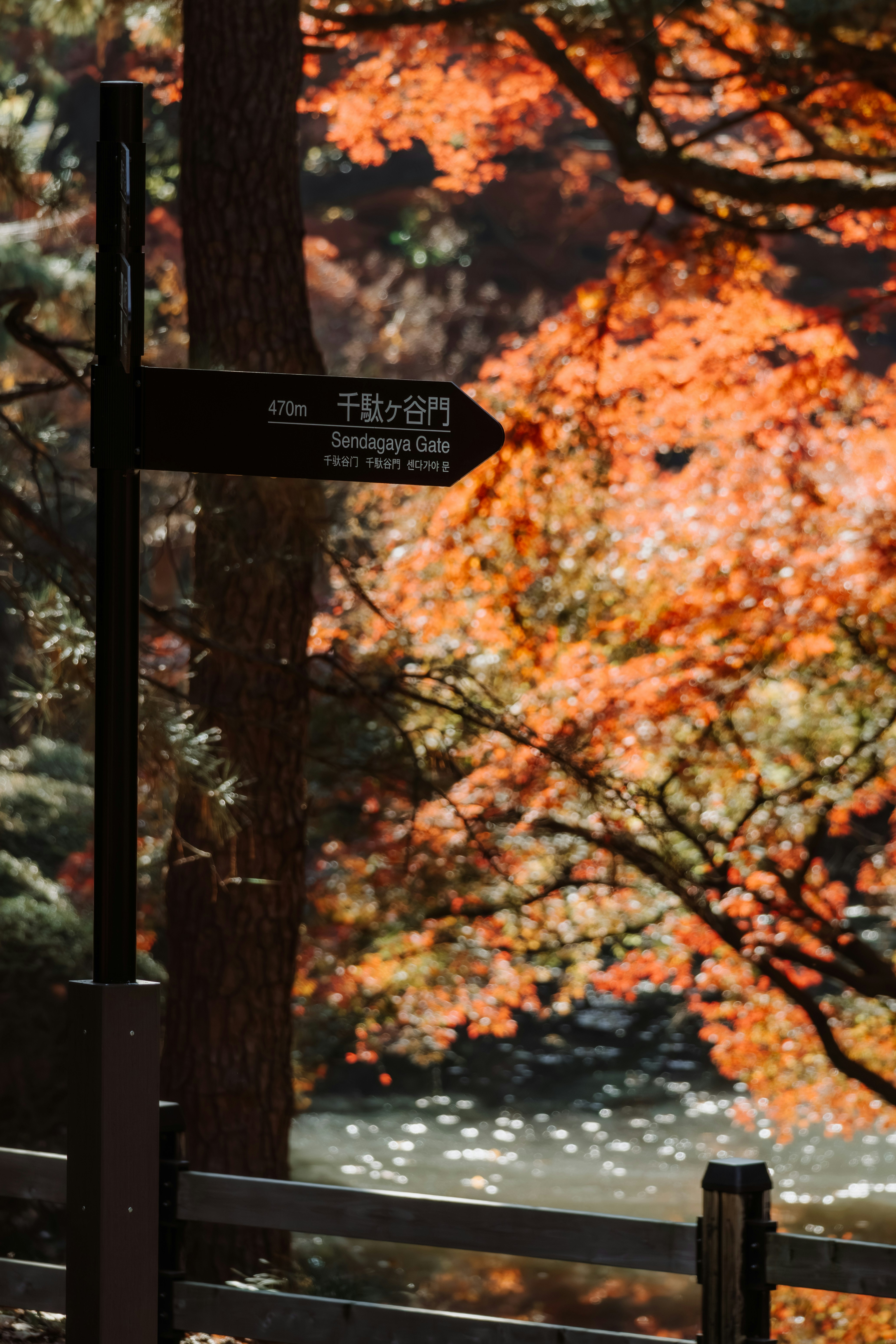 Autumn Signpost Overlooking a Shimmering River