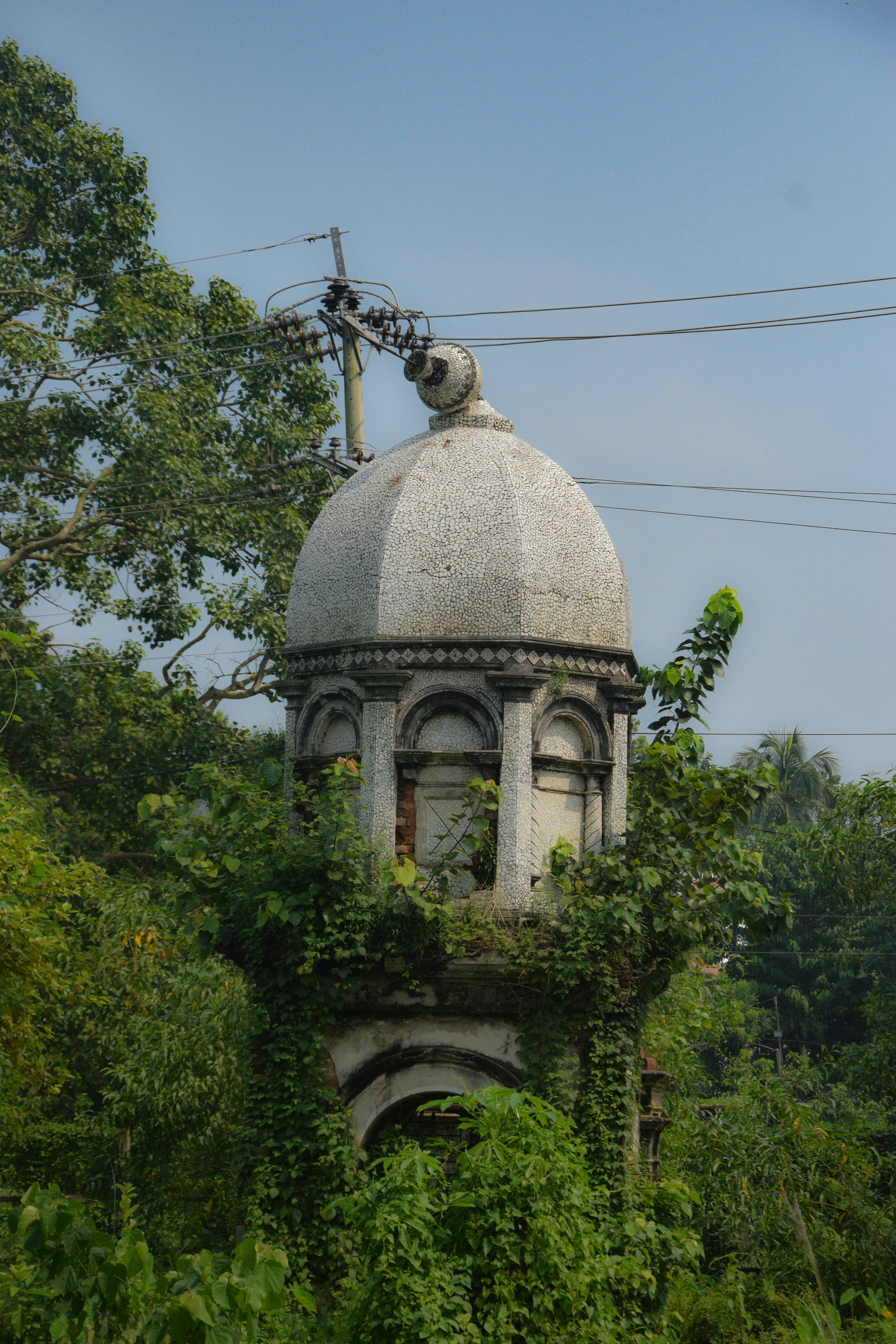 Photo by Mazharul Isalm with Nikon D5300