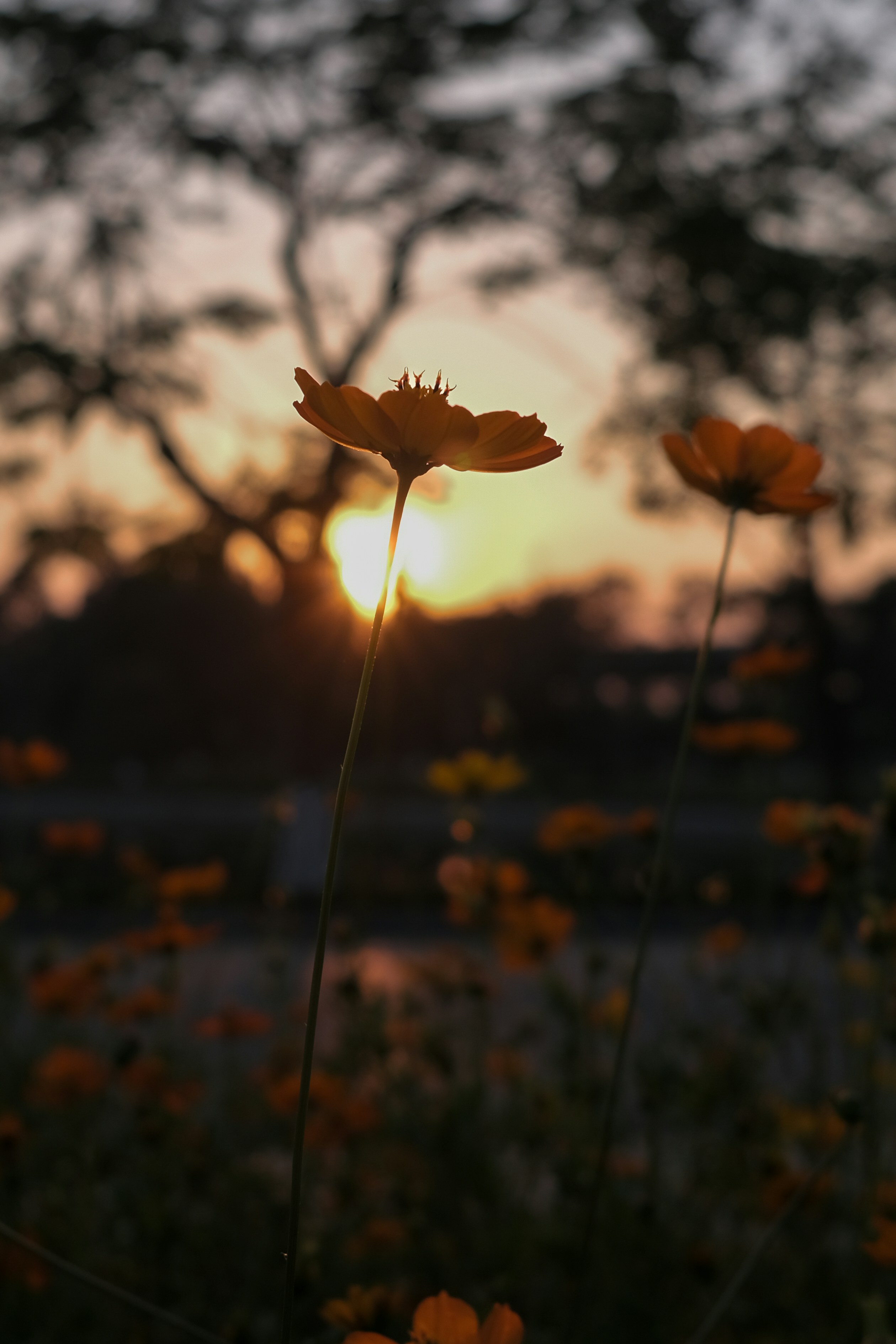 Photo by Felix Ngo with Fujifilm X-T3