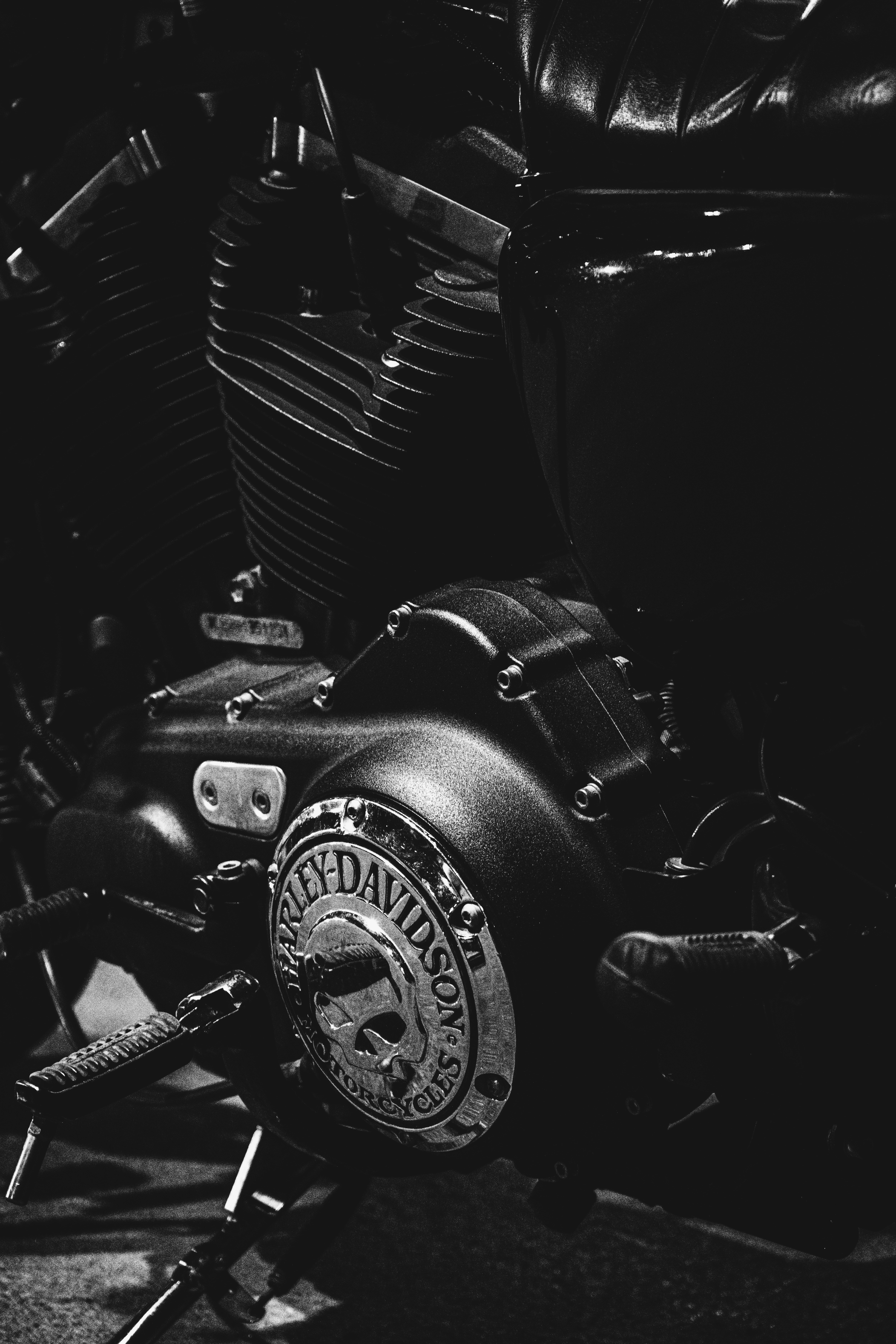 Harley davidson