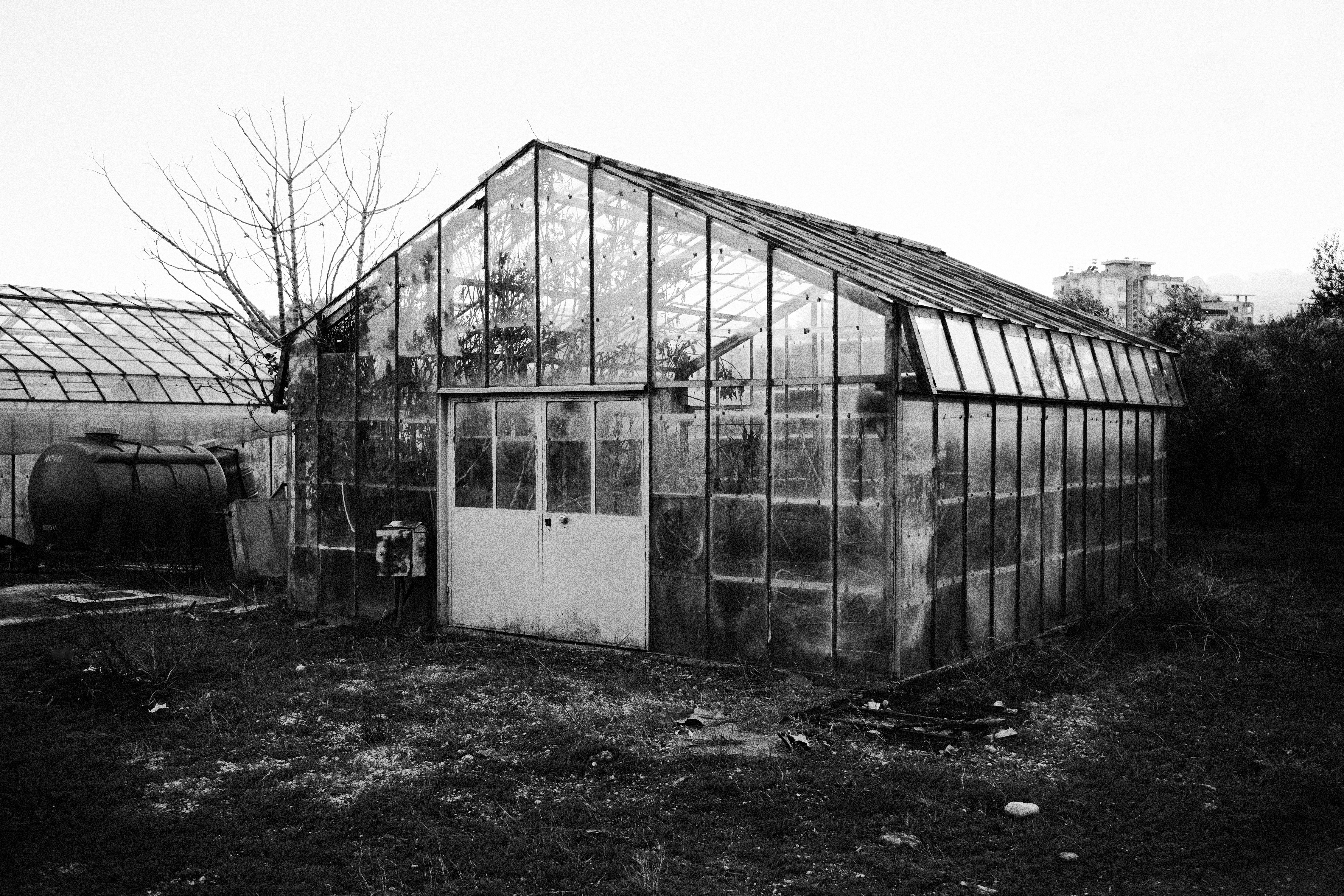 Photo by Arda E. Genç with Fujifilm X-T3