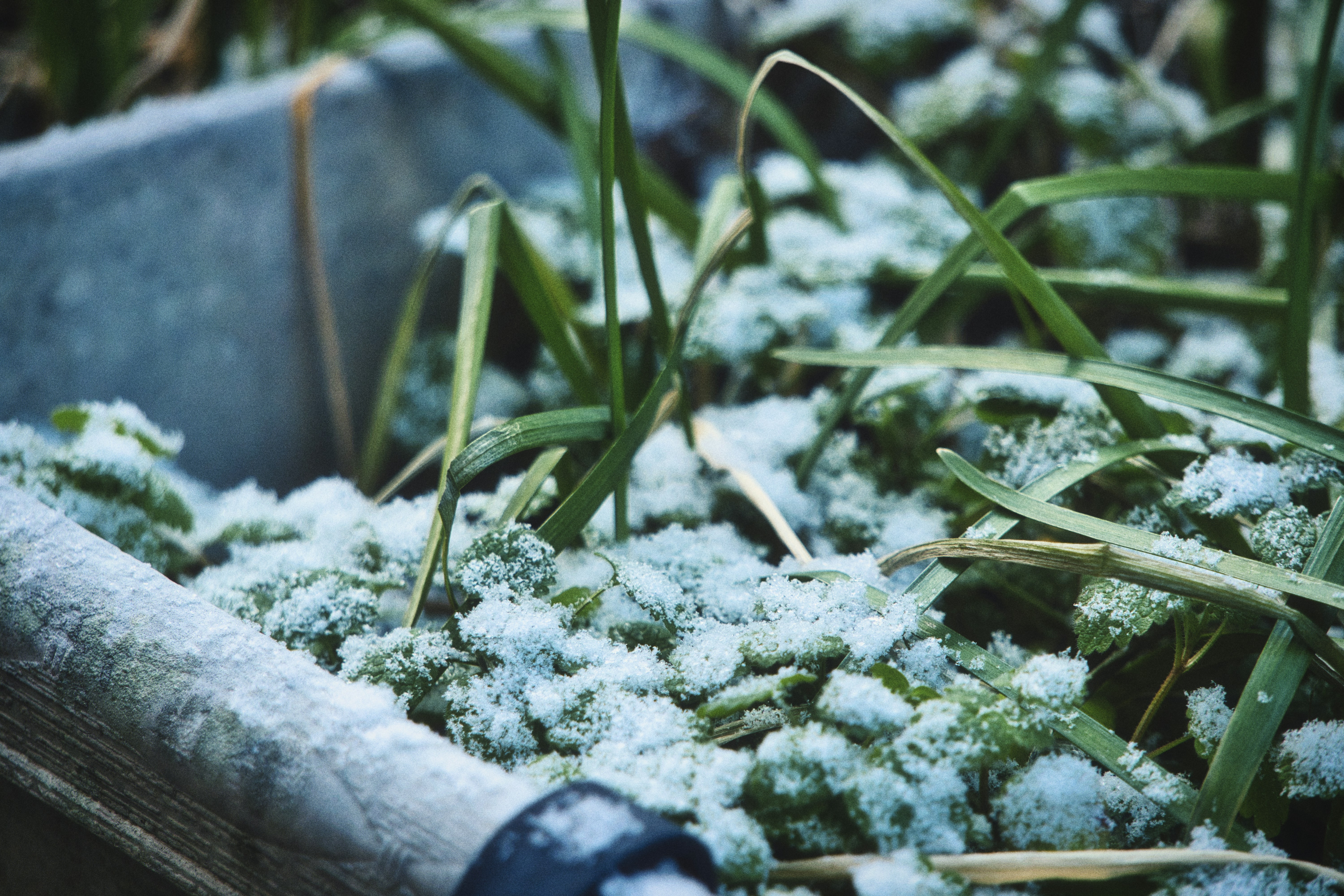 Photo by SRTgraphy with Sony Alpha 6400