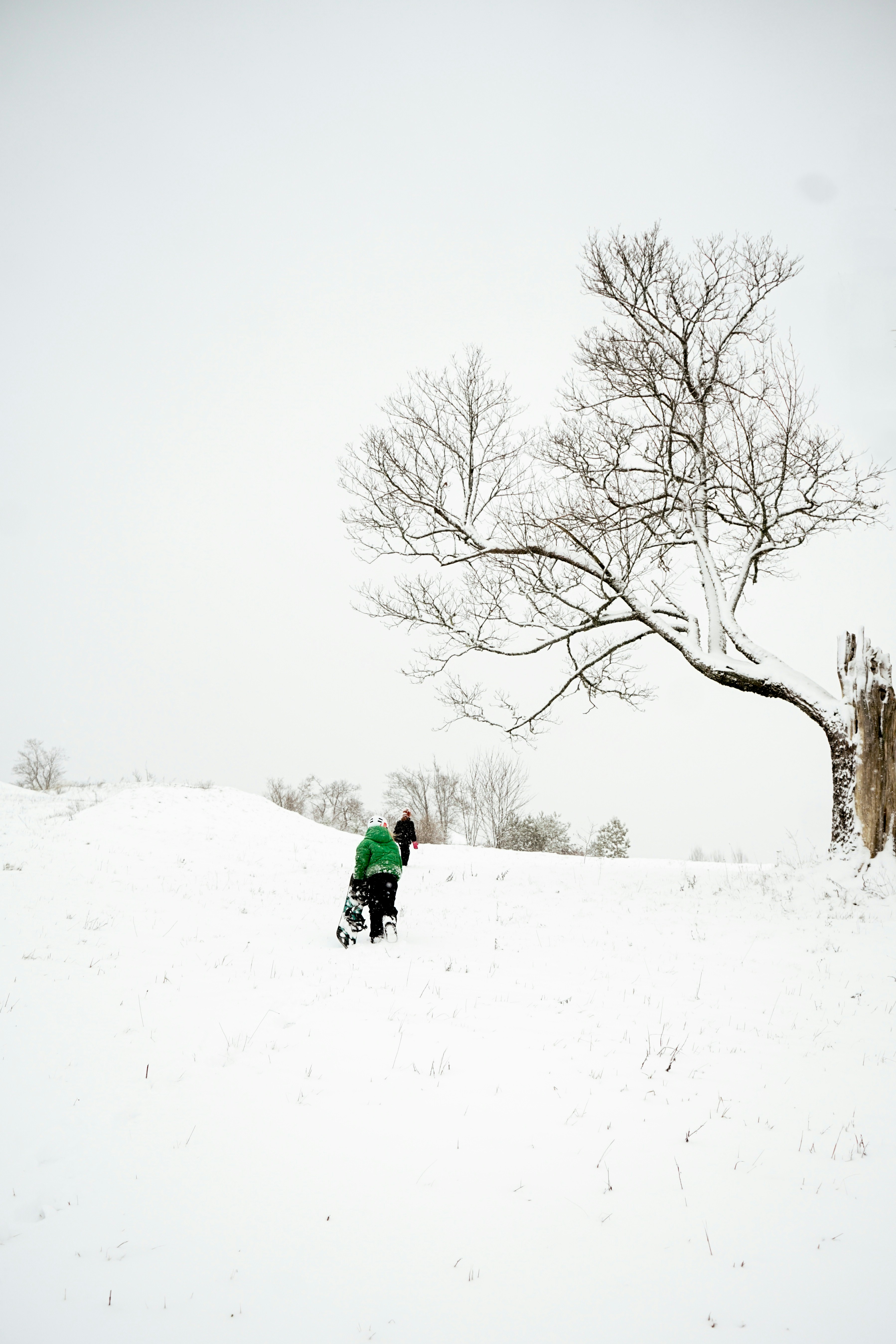 A person standing in the snow near a tree photo – Free Forest Image on ...