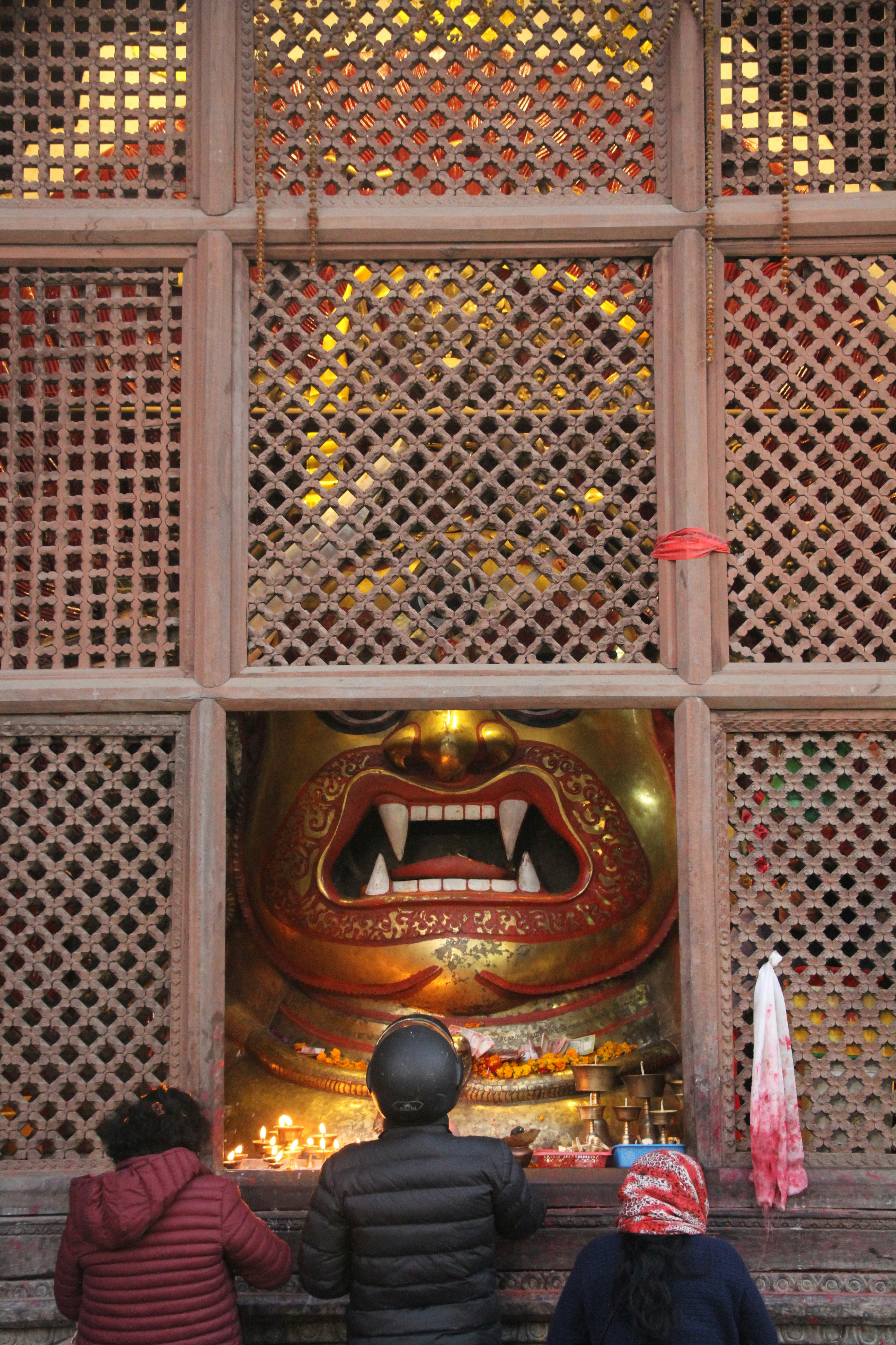 Behind the Lattice: The Golden Guardian's Open-Mouth Vigil
