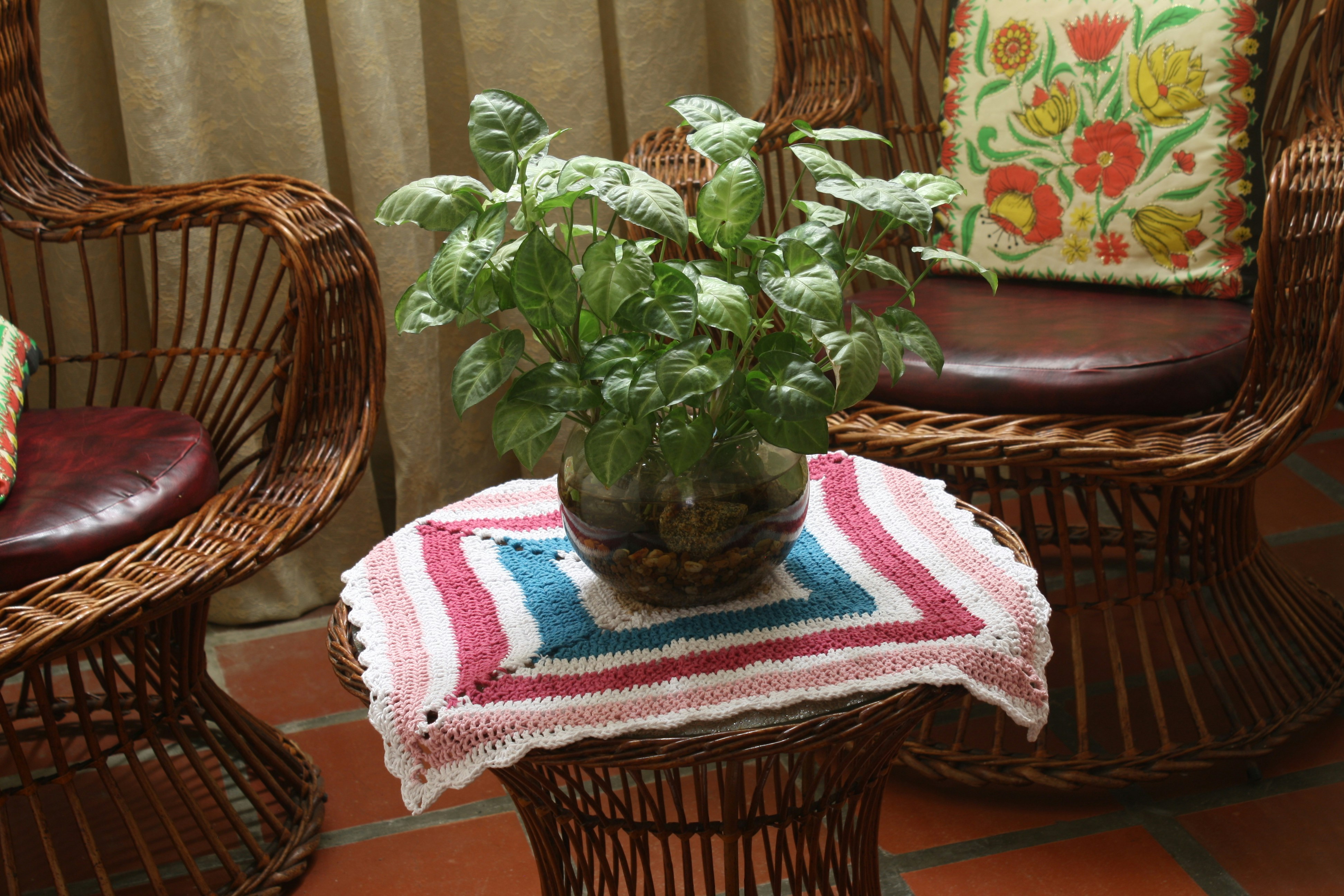 Green Houseplant on a Woven Tablecloth amidst Rattan Chairs