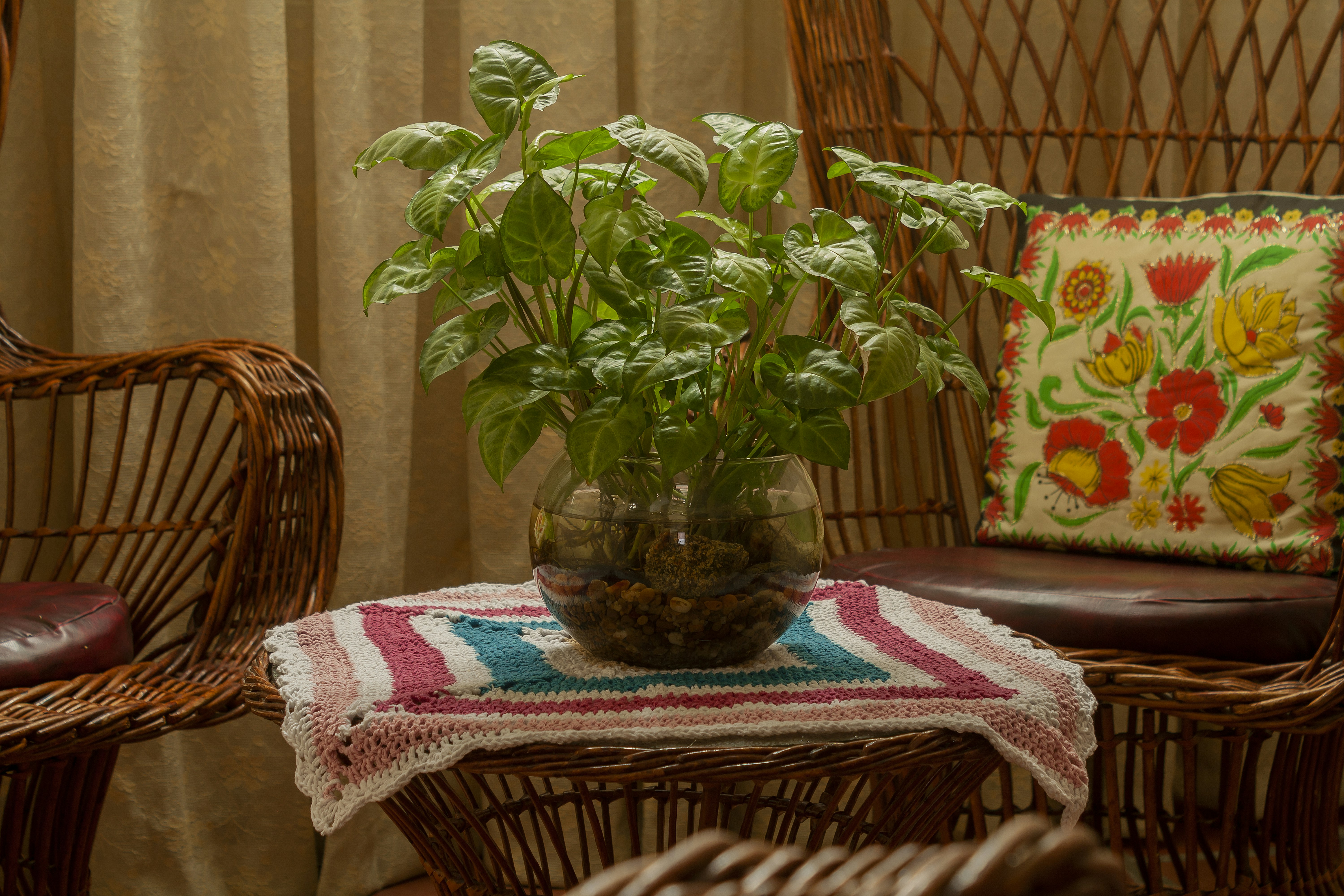 A beautifully arranged vase filled with vibrant flowers, adding a touch of life and color to the cozy living room. The warm lighting enhances the inviting atmosphere, making it the perfect spot for relaxation and enjoyment.