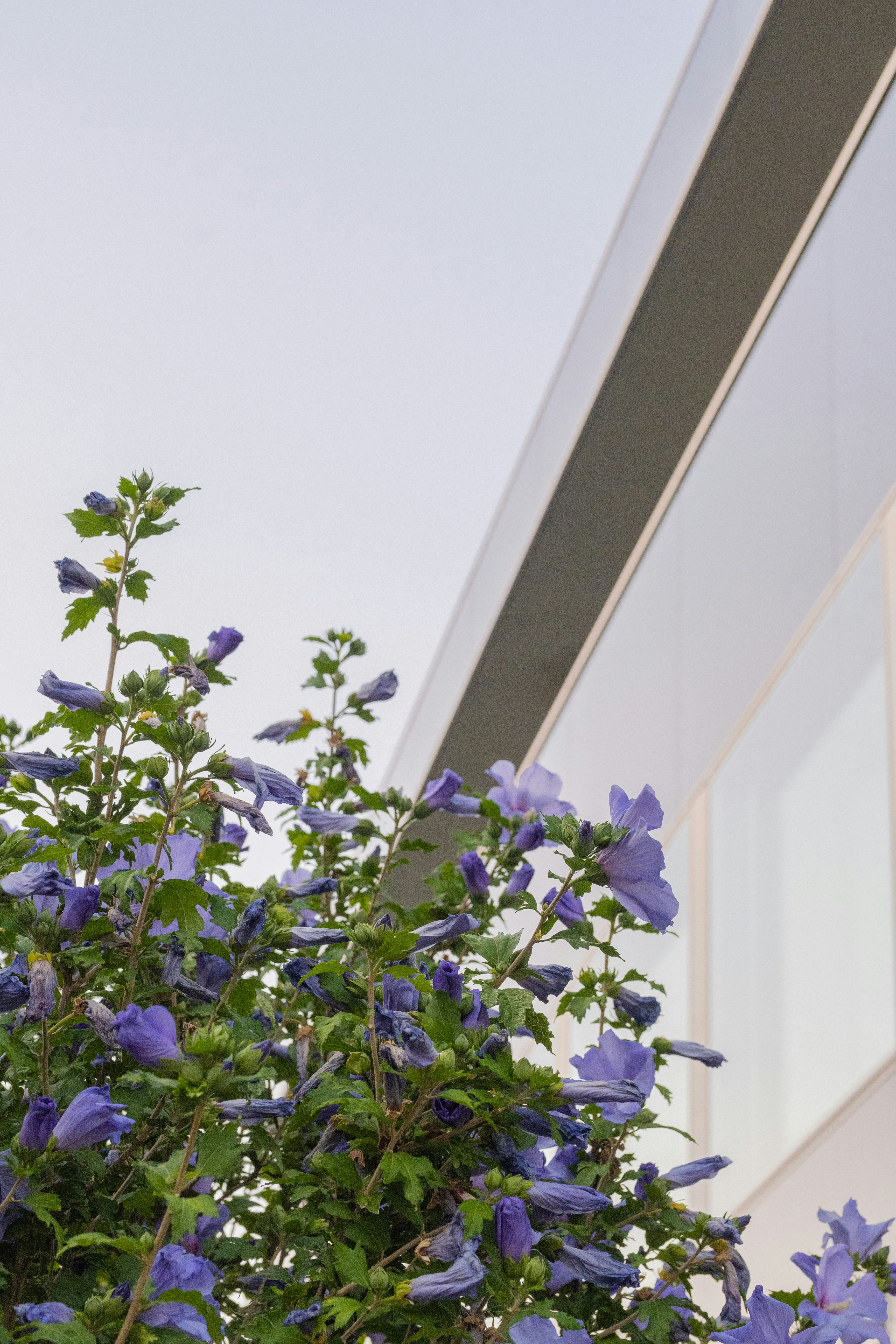 Photo by Melanie Weidmann with Nikon Z50