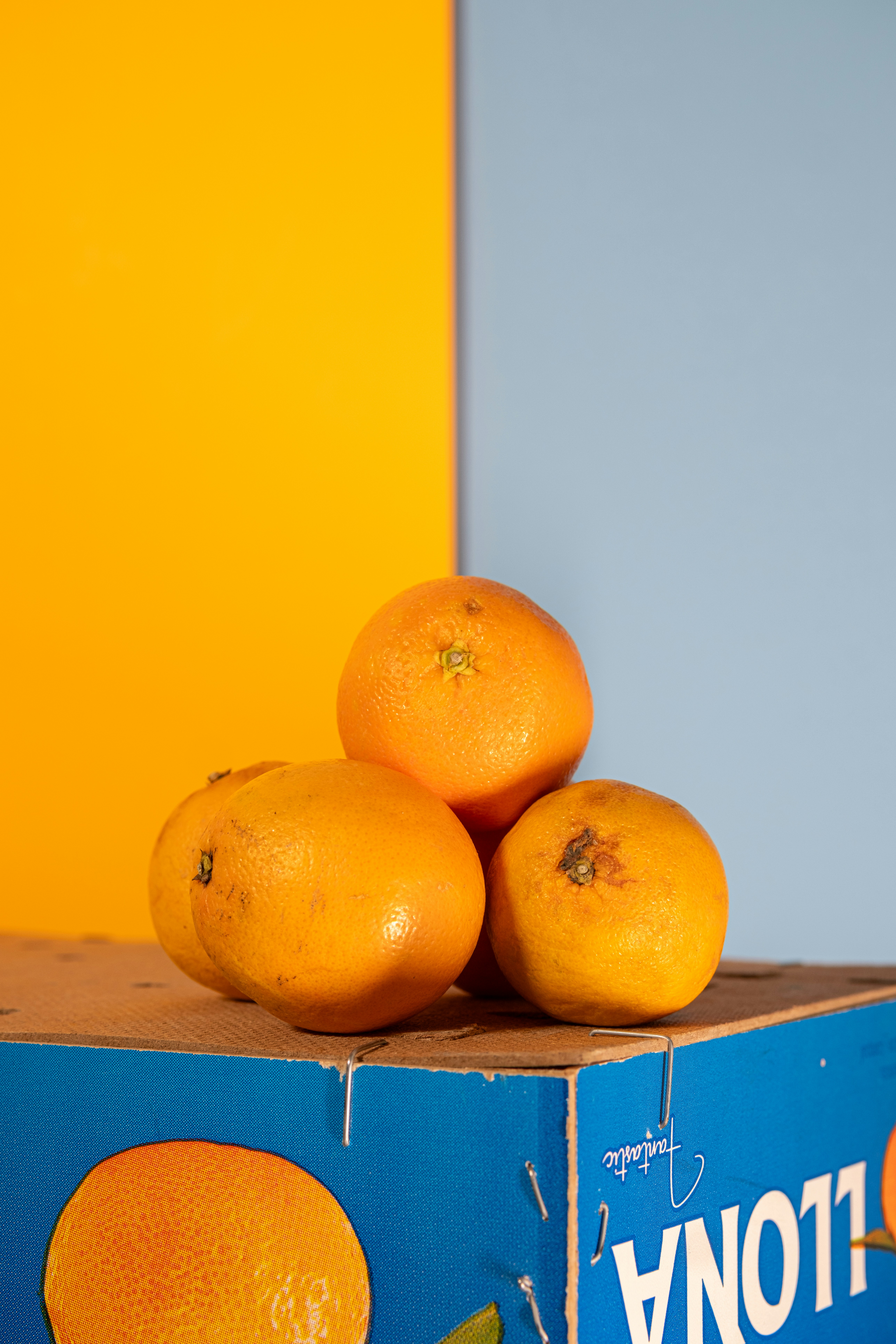 Photo by Alexandre Daoust with Fujifilm X-T5