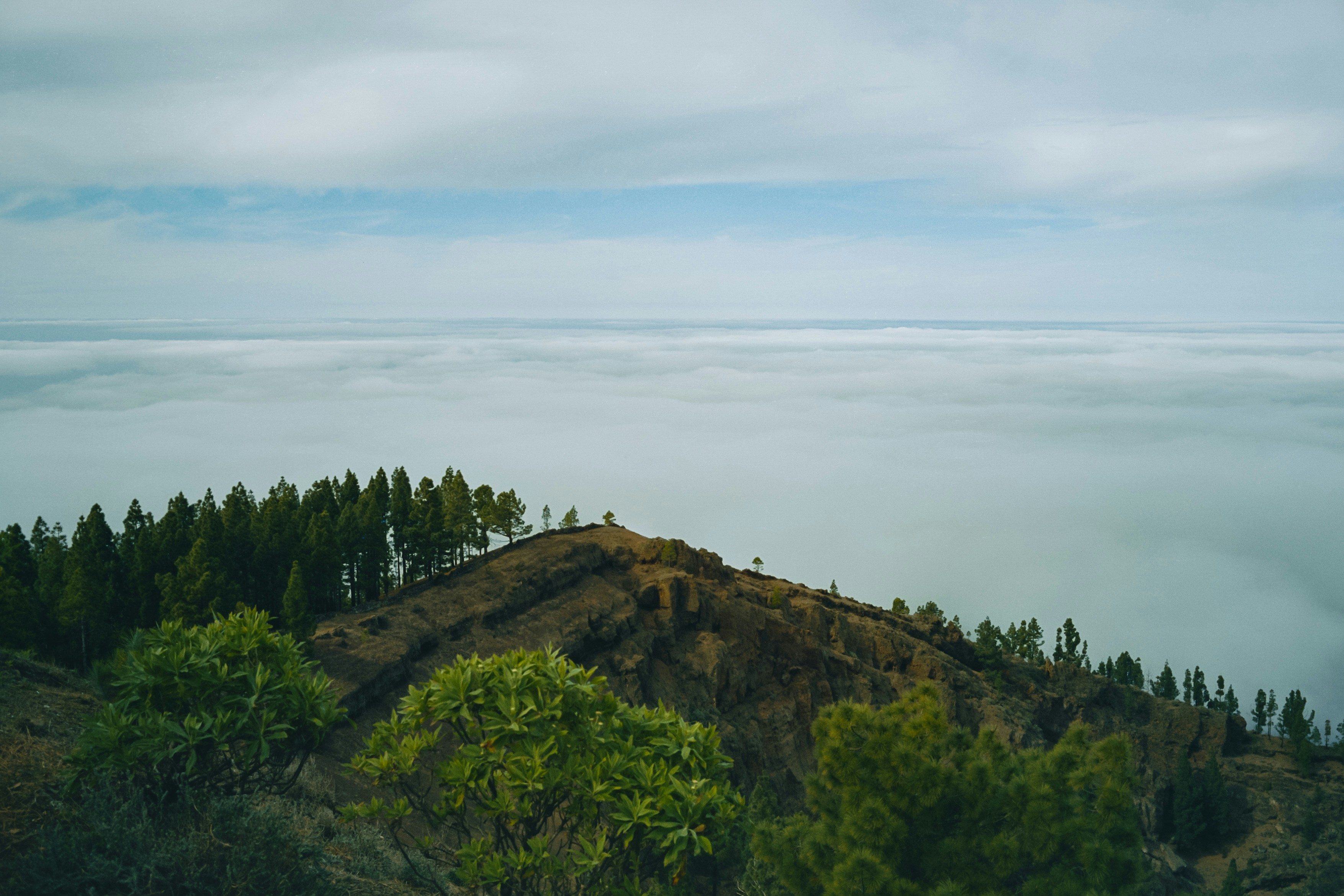 A view of a hill with trees on top of it photo – Free Natur Image on ...