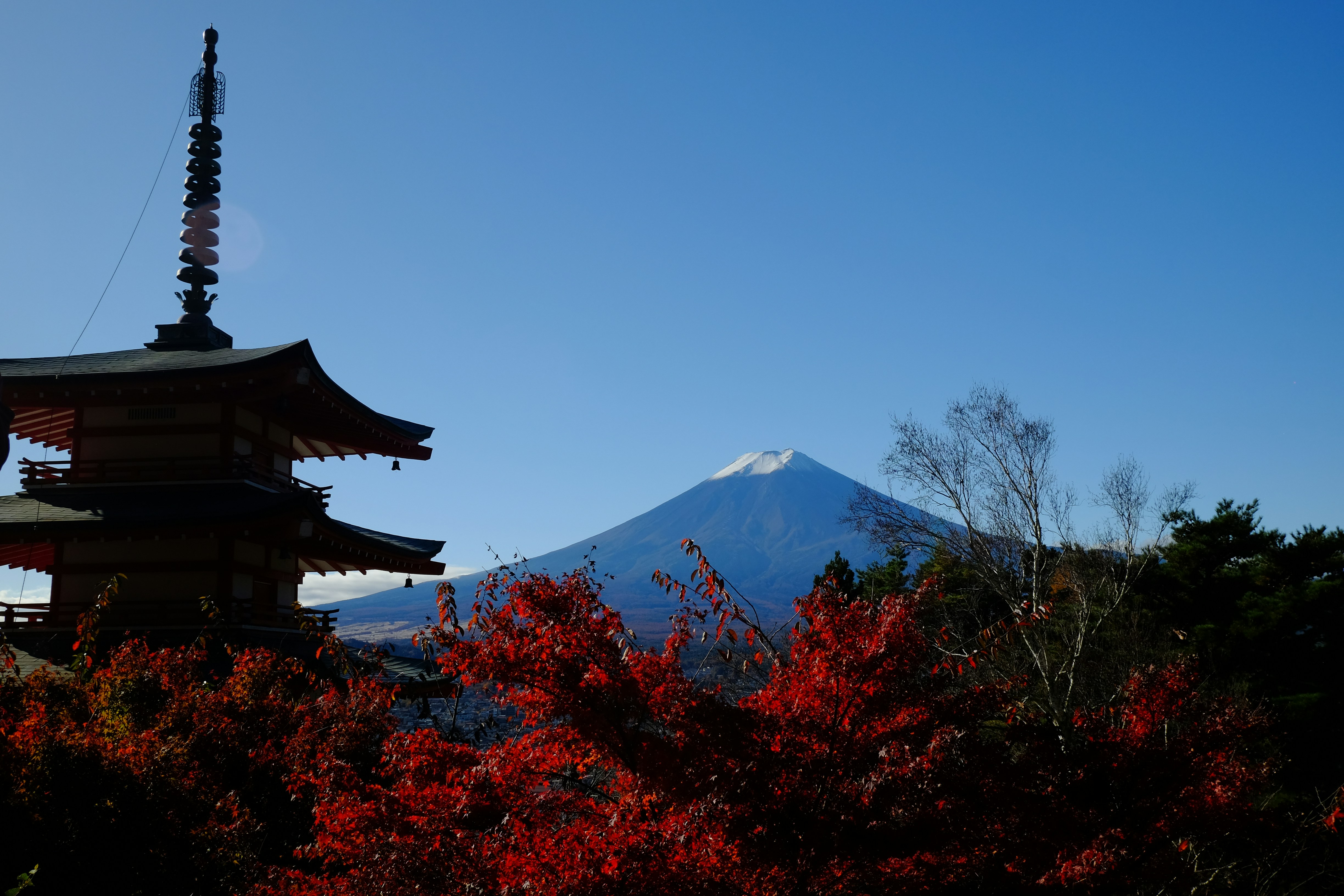 Harmony of Nature and Tradition at the Foot of Fuji