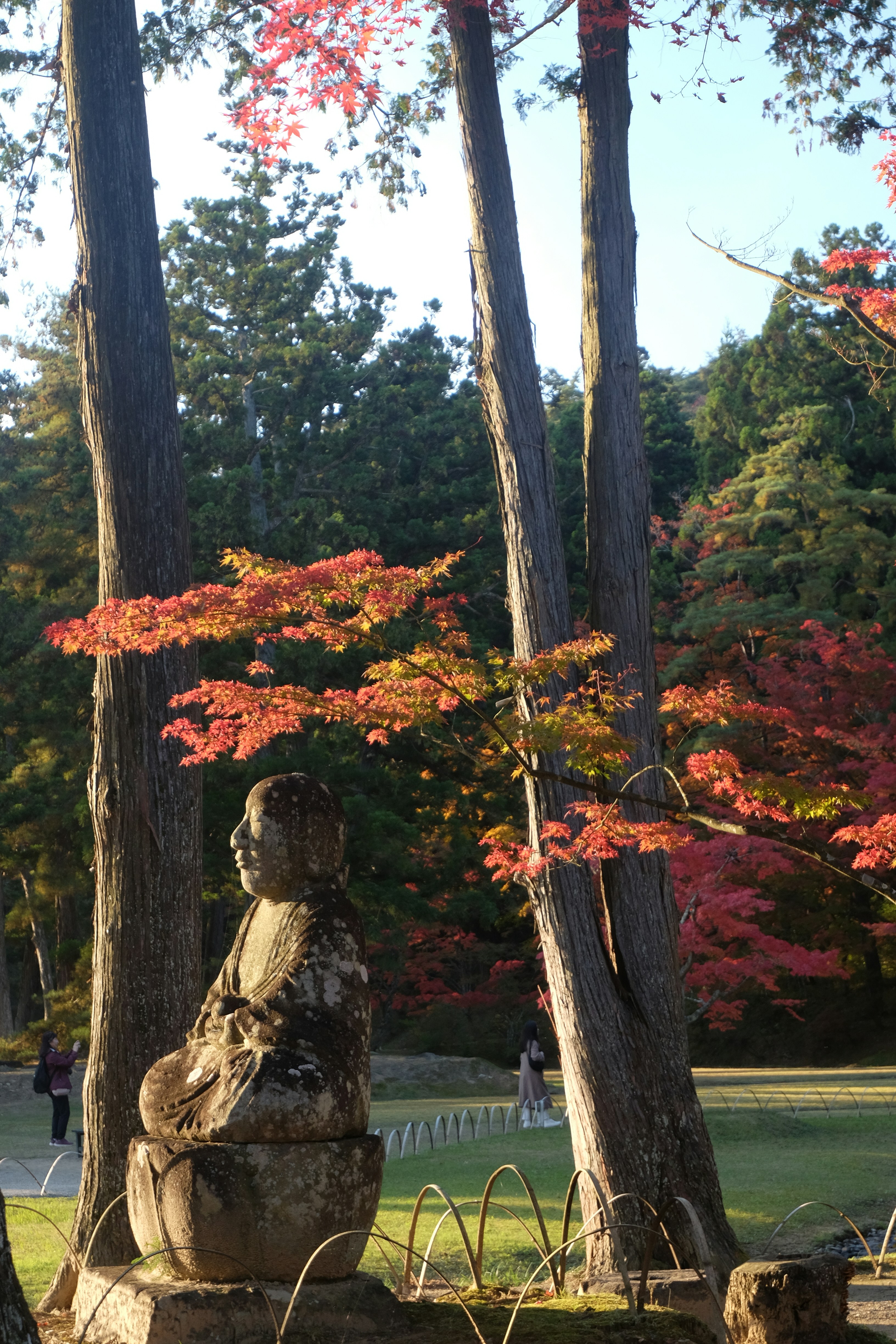 Moss-veiled Buddha framed by crimson maples in a sunlit park